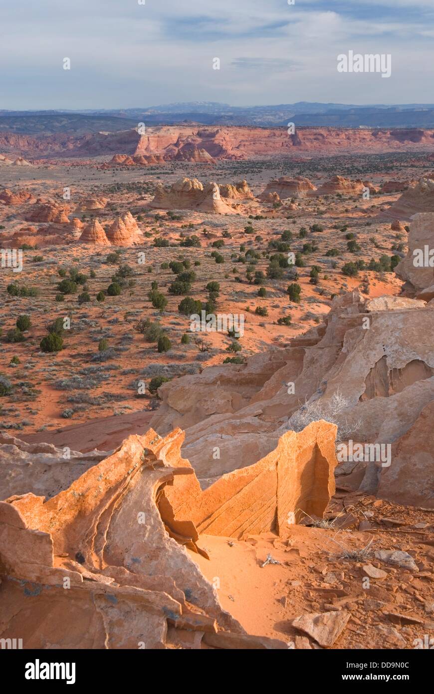 Cross of the south hi-res stock photography and images - Alamy
