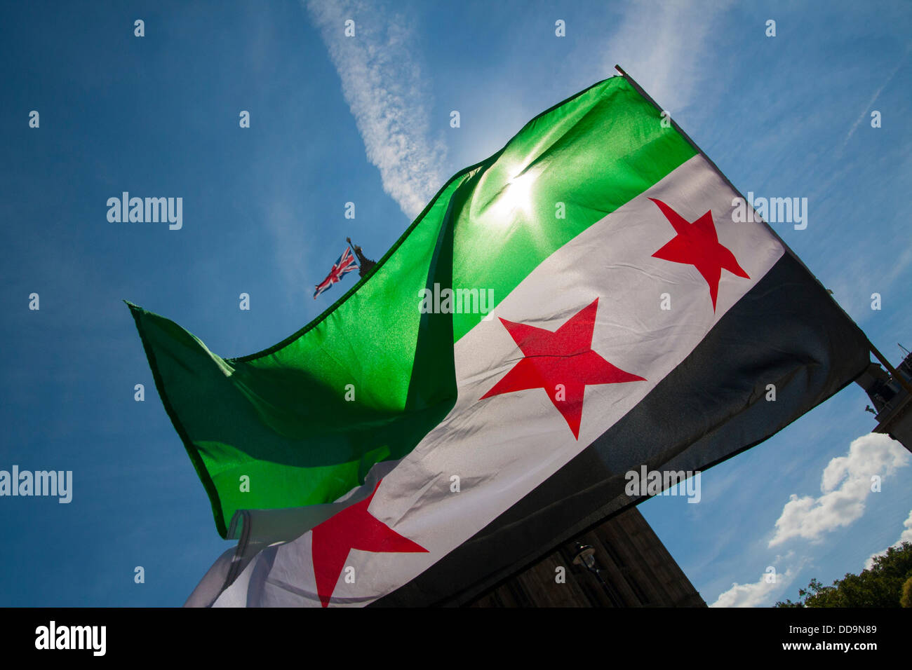 Syrian Flag 2013