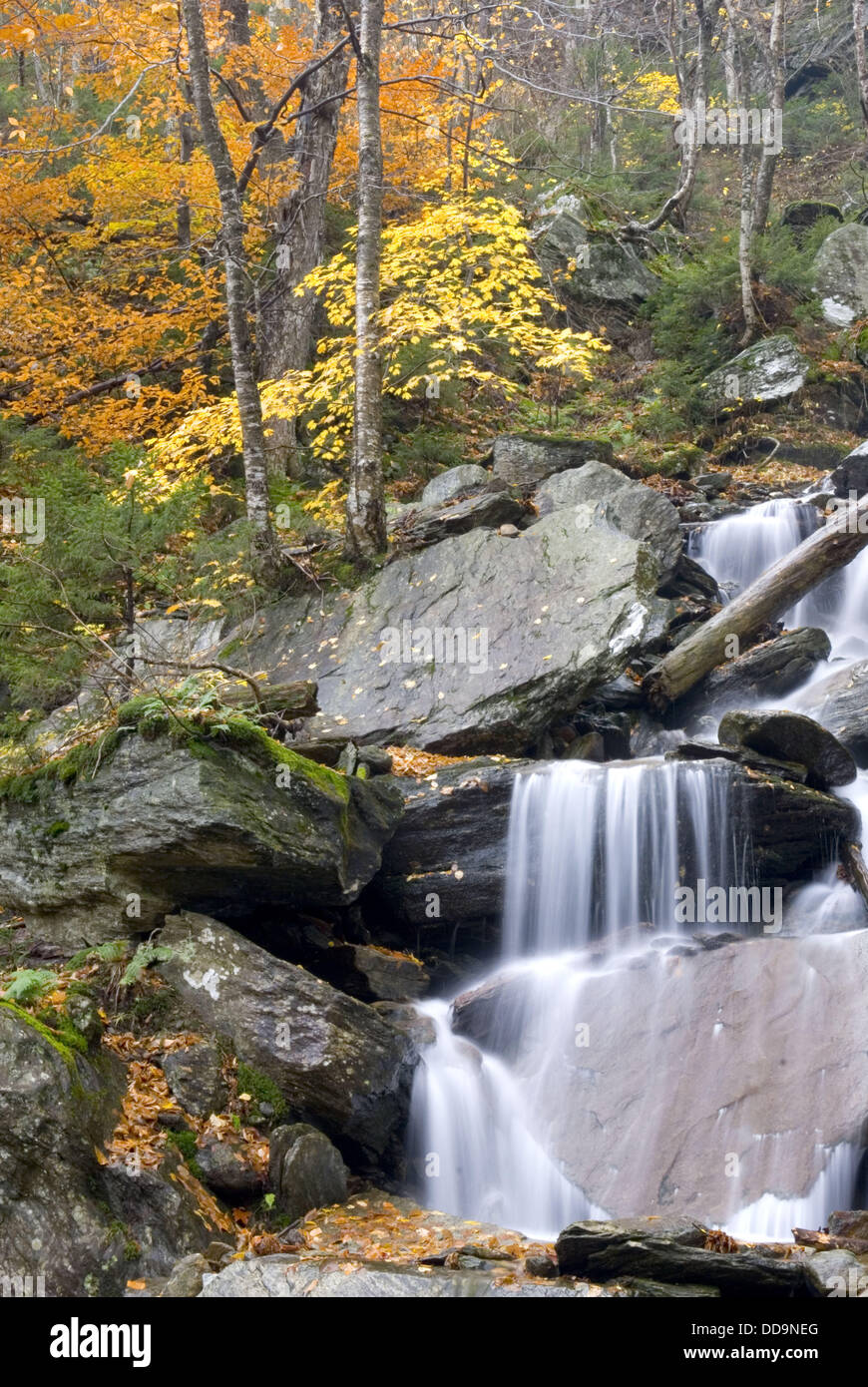 Vertical waterfalls image new england hi-res stock photography and ...