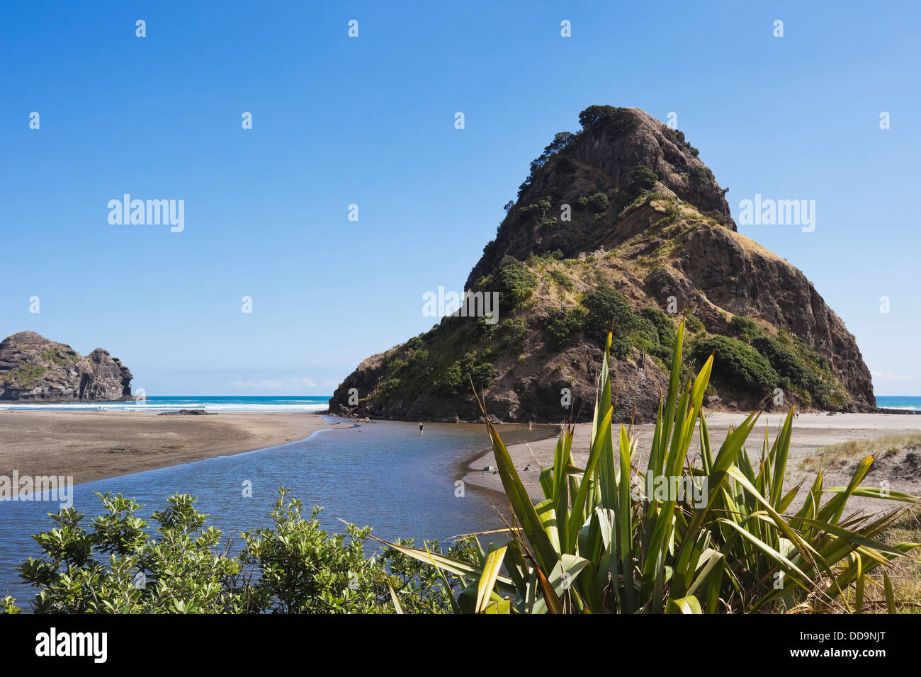 New Zealand, View of Lion rock at Piha beach Stock Photo - Alamy