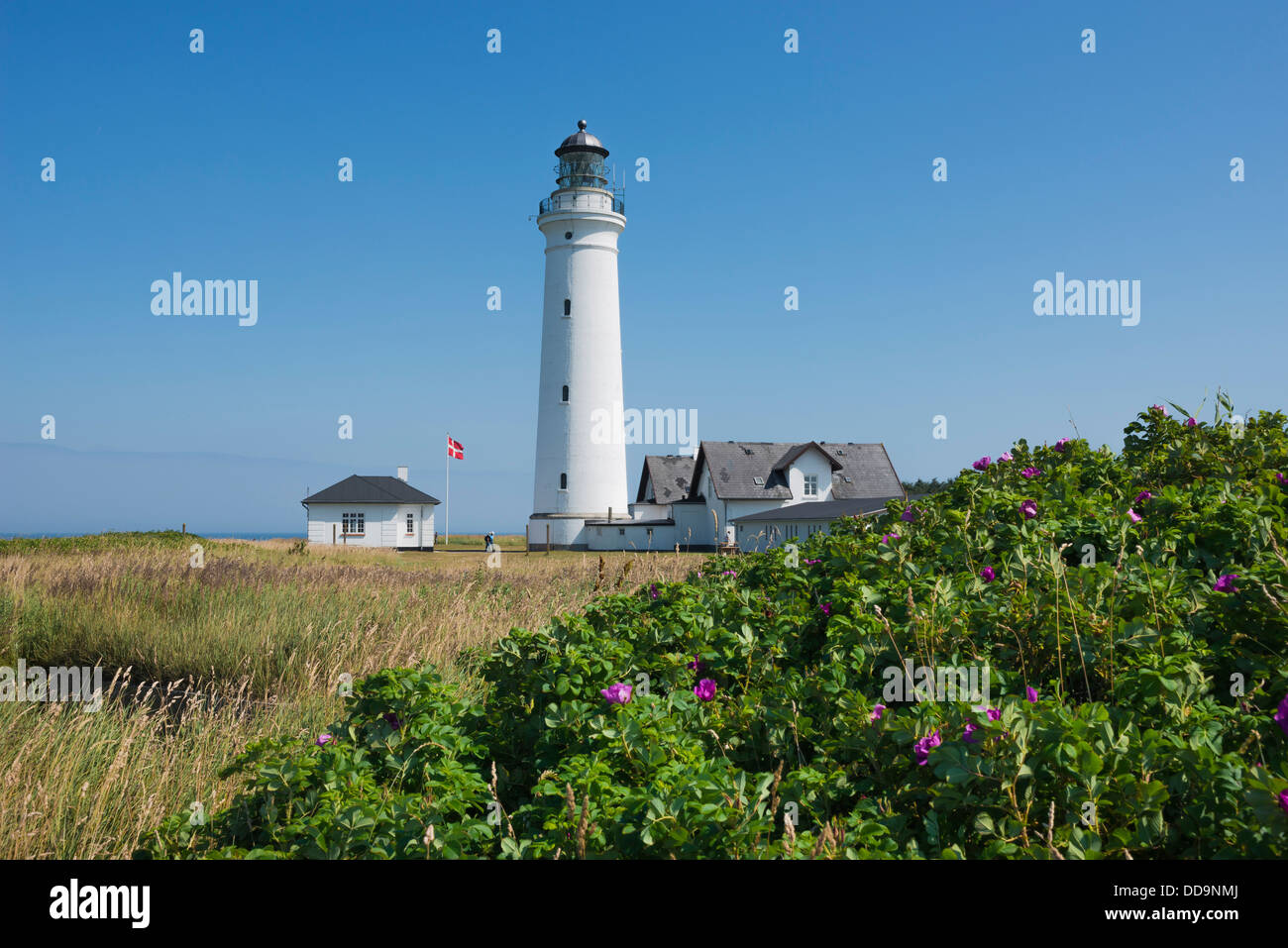 Denmark, View of lighthouse at town Stock Photo - Alamy