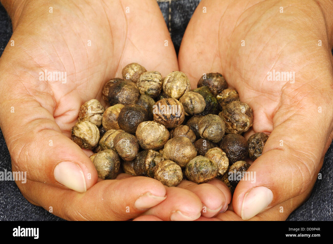 Panama rep of panama hi-res stock photography and images - Alamy