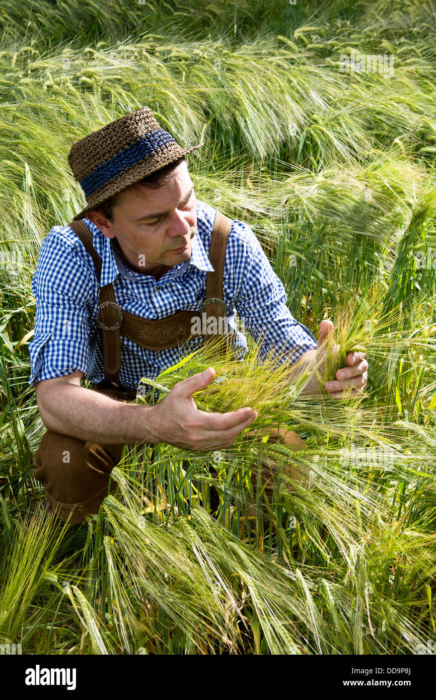 Germany, Bavaria, Farmer harvesting in field Stock Photo - Alamy