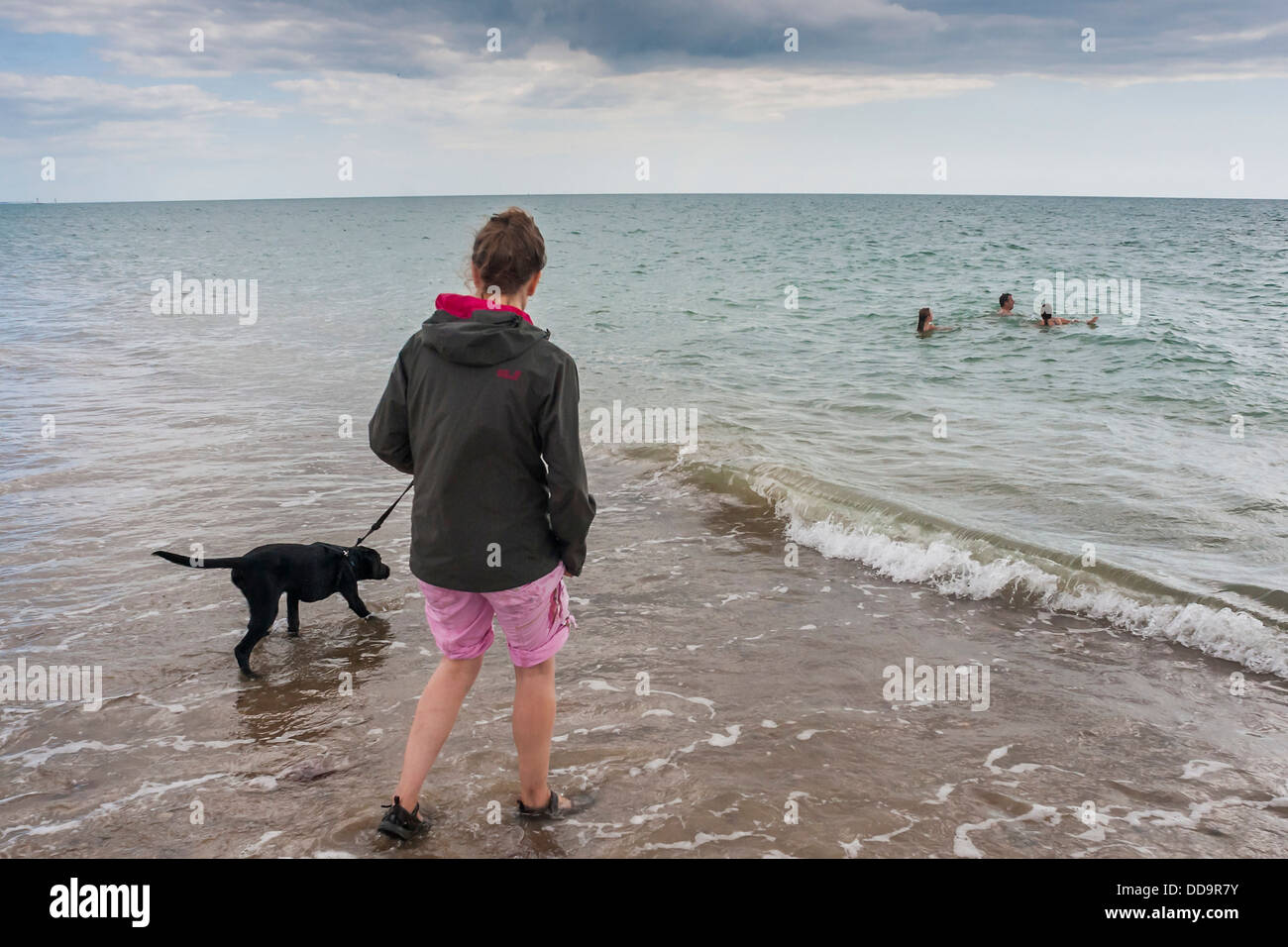 Climping beach sussex dog hi-res stock photography and images - Alamy