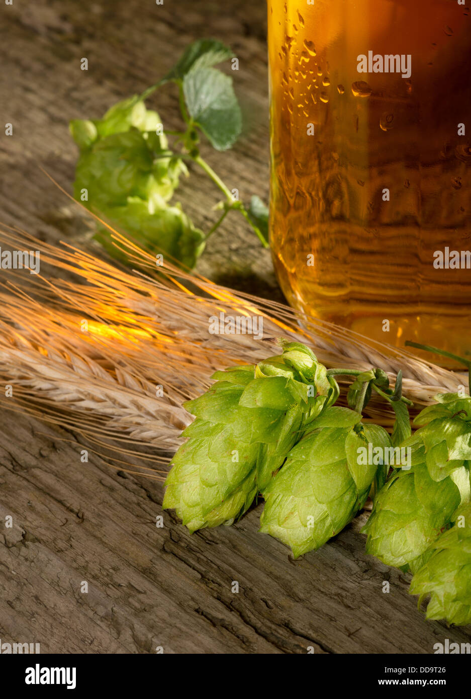 Beer hop hi-res stock photography and images - Alamy