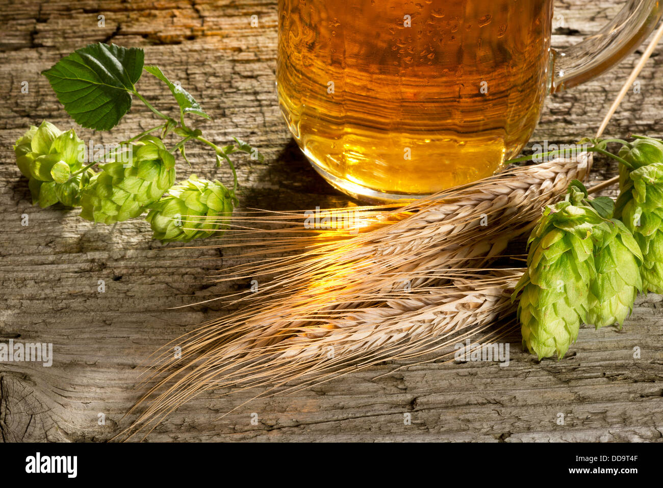 Beer glass pint alcohol hop hops barley hi-res stock photography and ...
