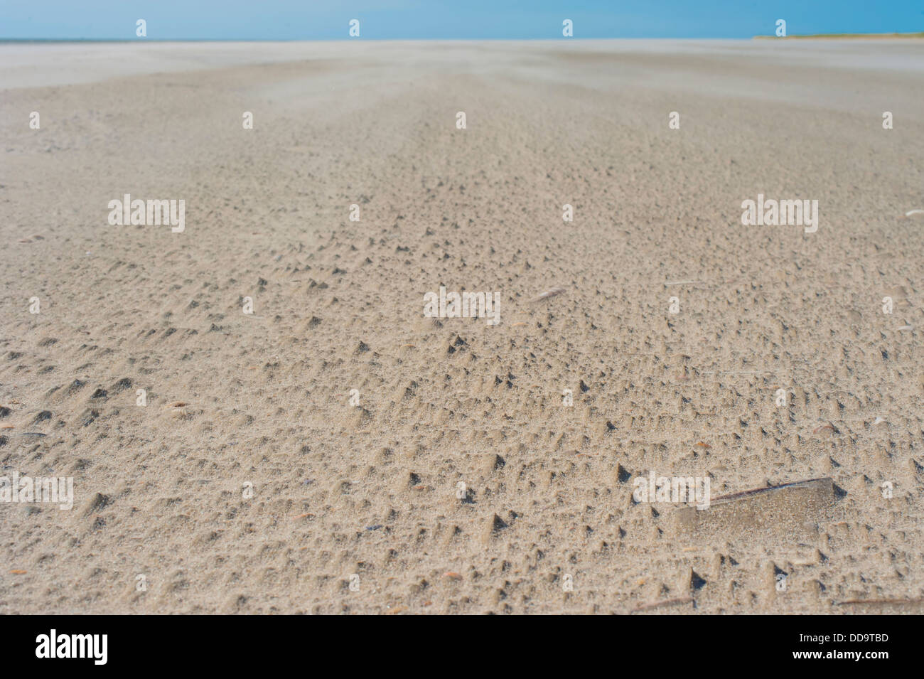 Denmark, Romo, Sand dunes at North Sea Stock Photo - Alamy