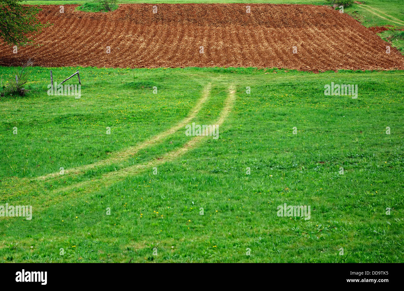 Field grass arable fields hi-res stock photography and images - Alamy