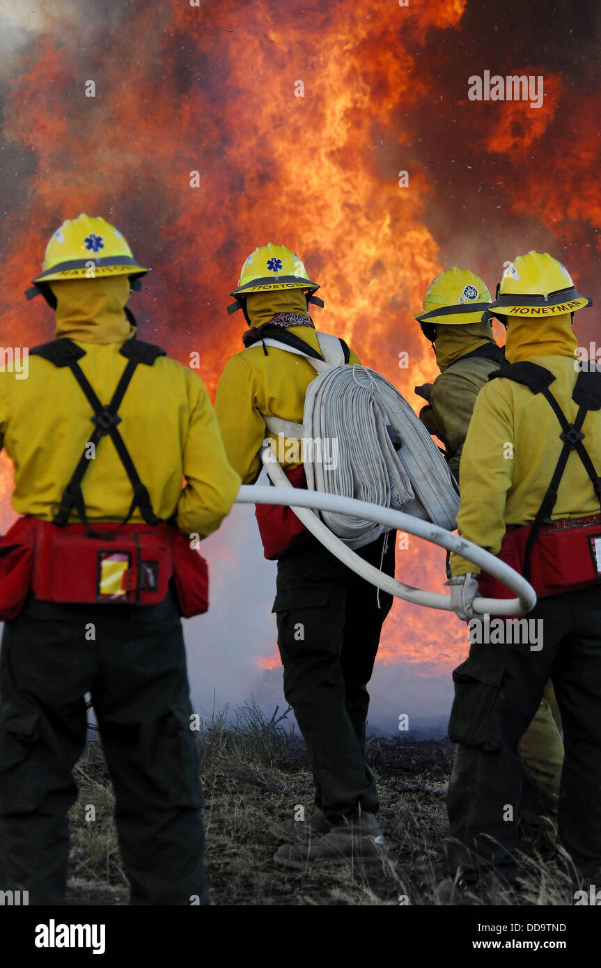 Wildland fire smoke hi-res stock photography and images - Alamy