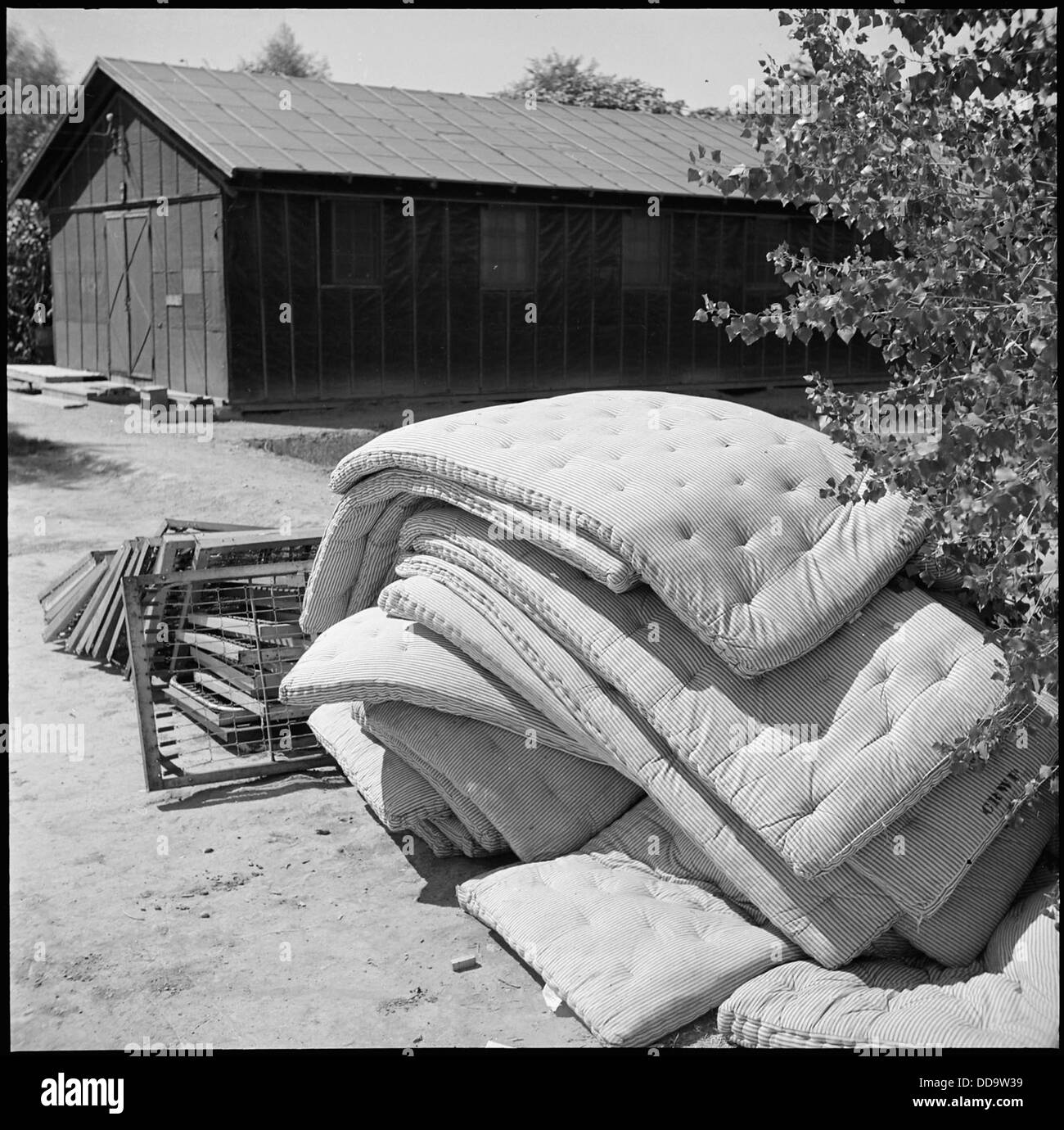 At the Poston Relocation Center in Arizona, mattresses that are no ...
