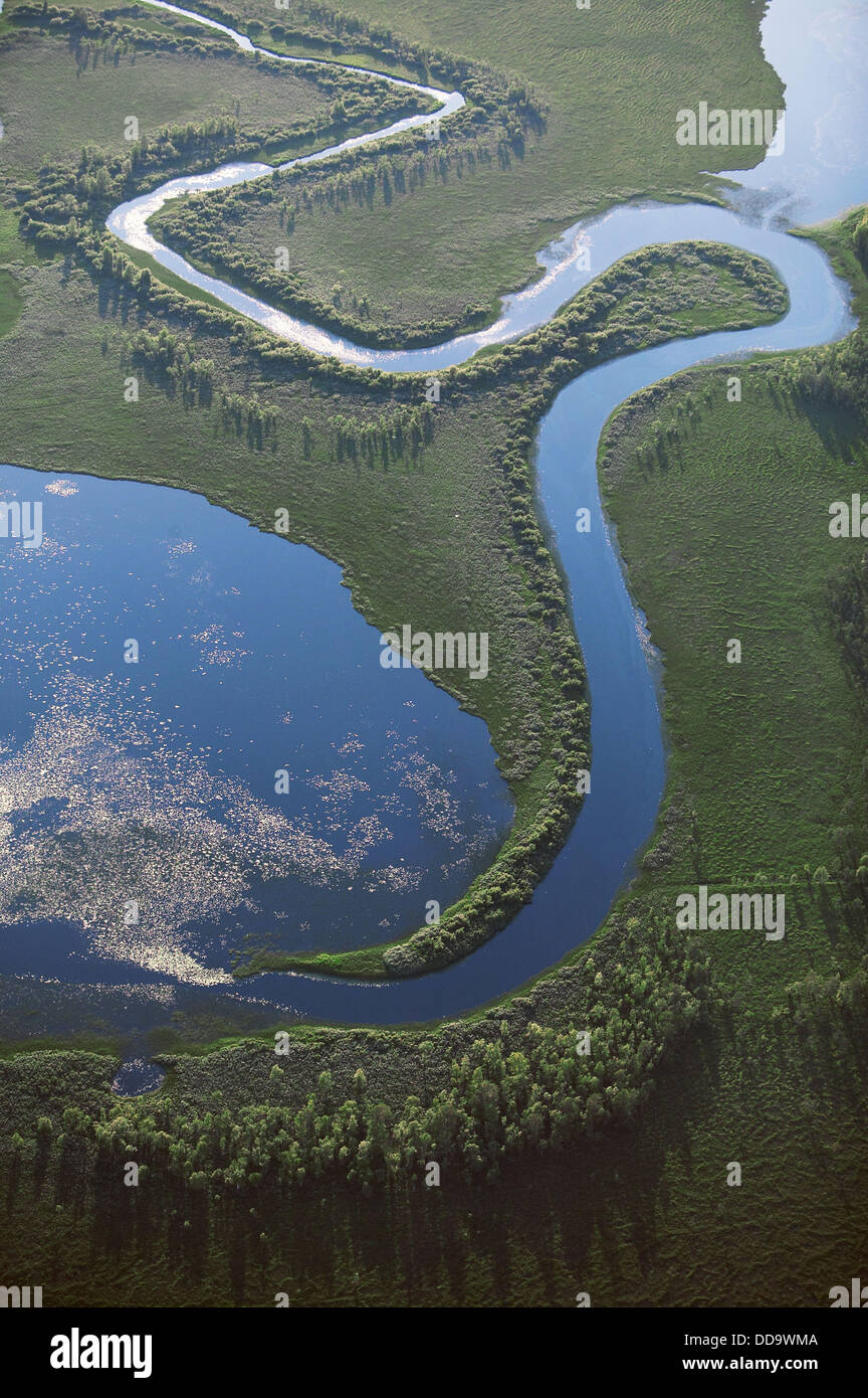 Meandring river in wetland, aerial view. Lappland. Sweden Stock Photo ...