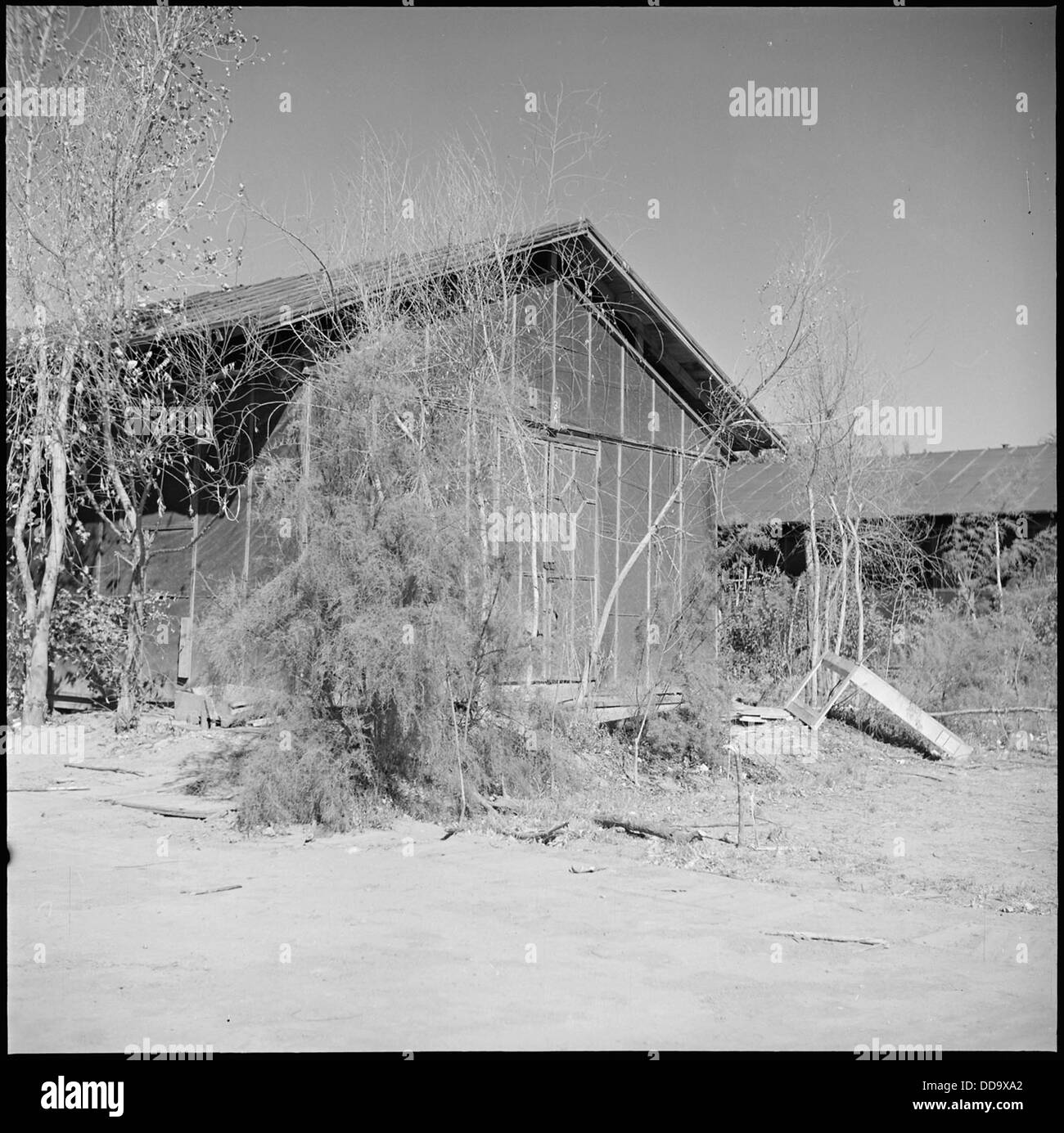 Detention japanese internment camp u s world war ii hi-res stock ...