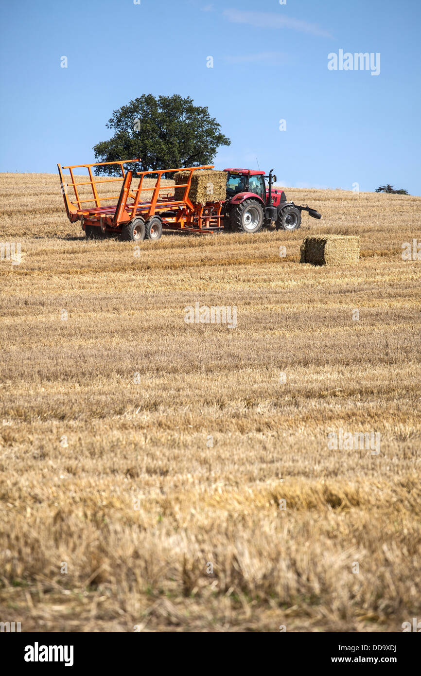 Hay harvets hi-res stock photography and images - Alamy