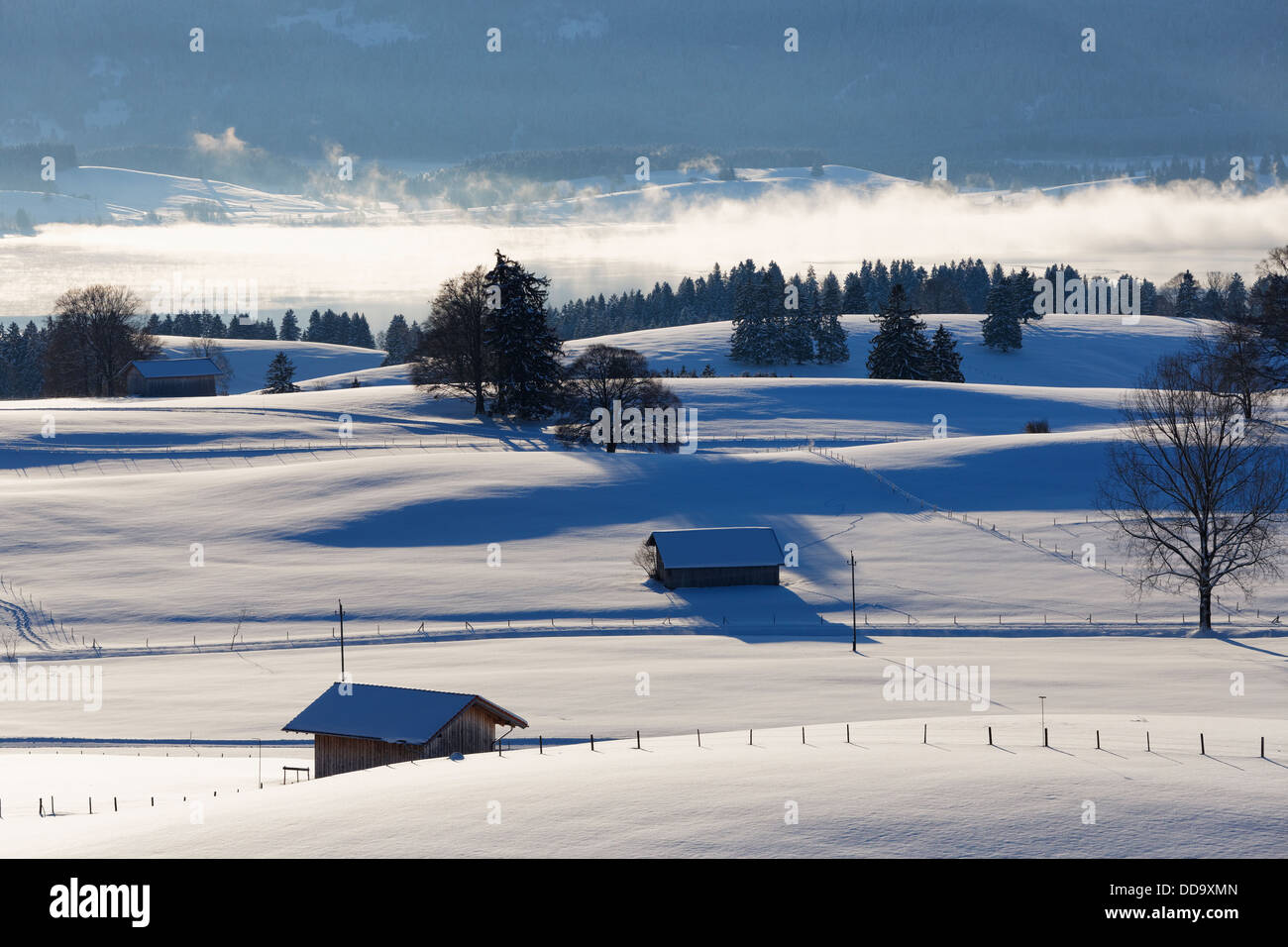 Germany, Bavaria, View of Forggensee lake Stock Photo - Alamy