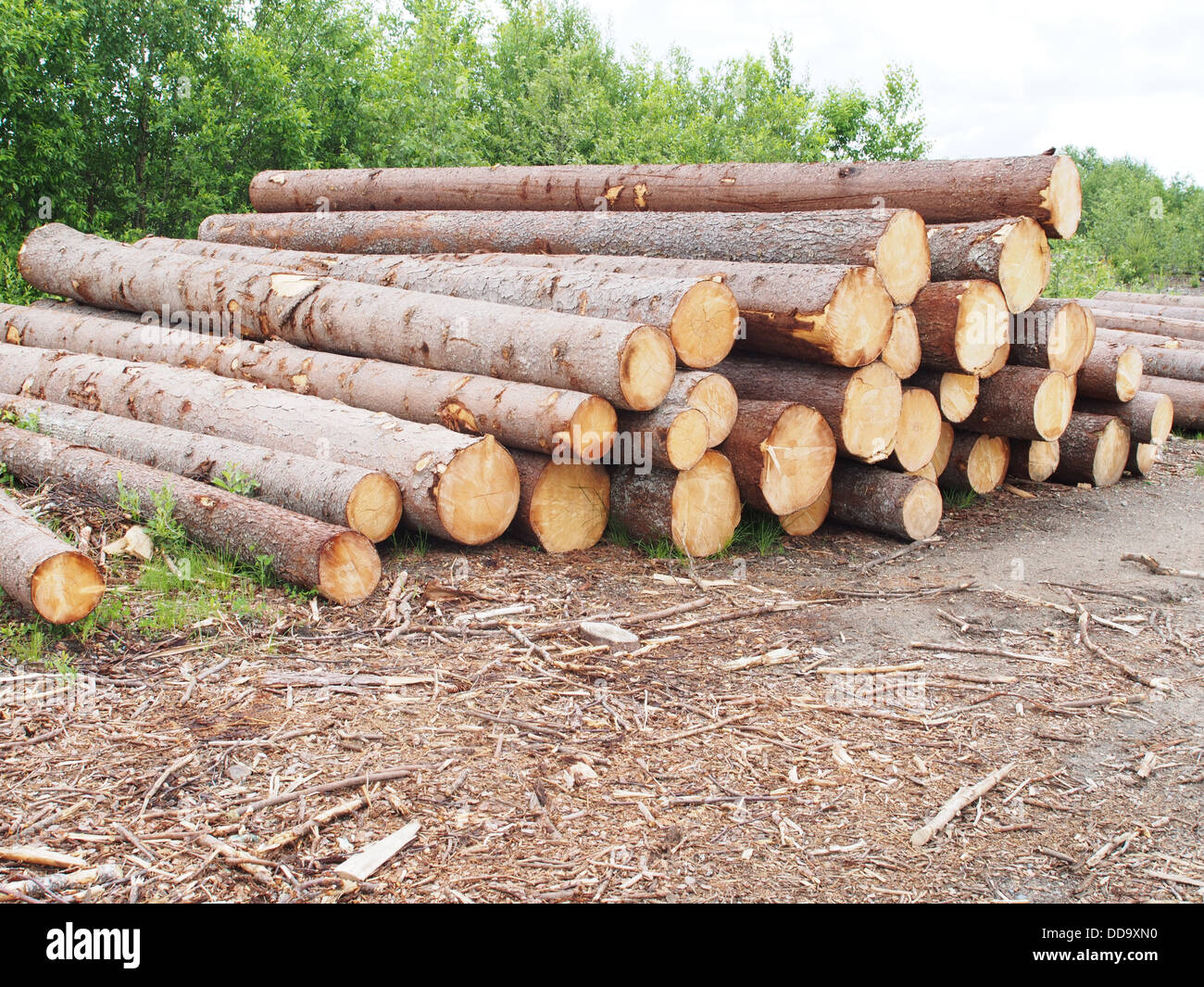The logs on the road Stock Photo - Alamy