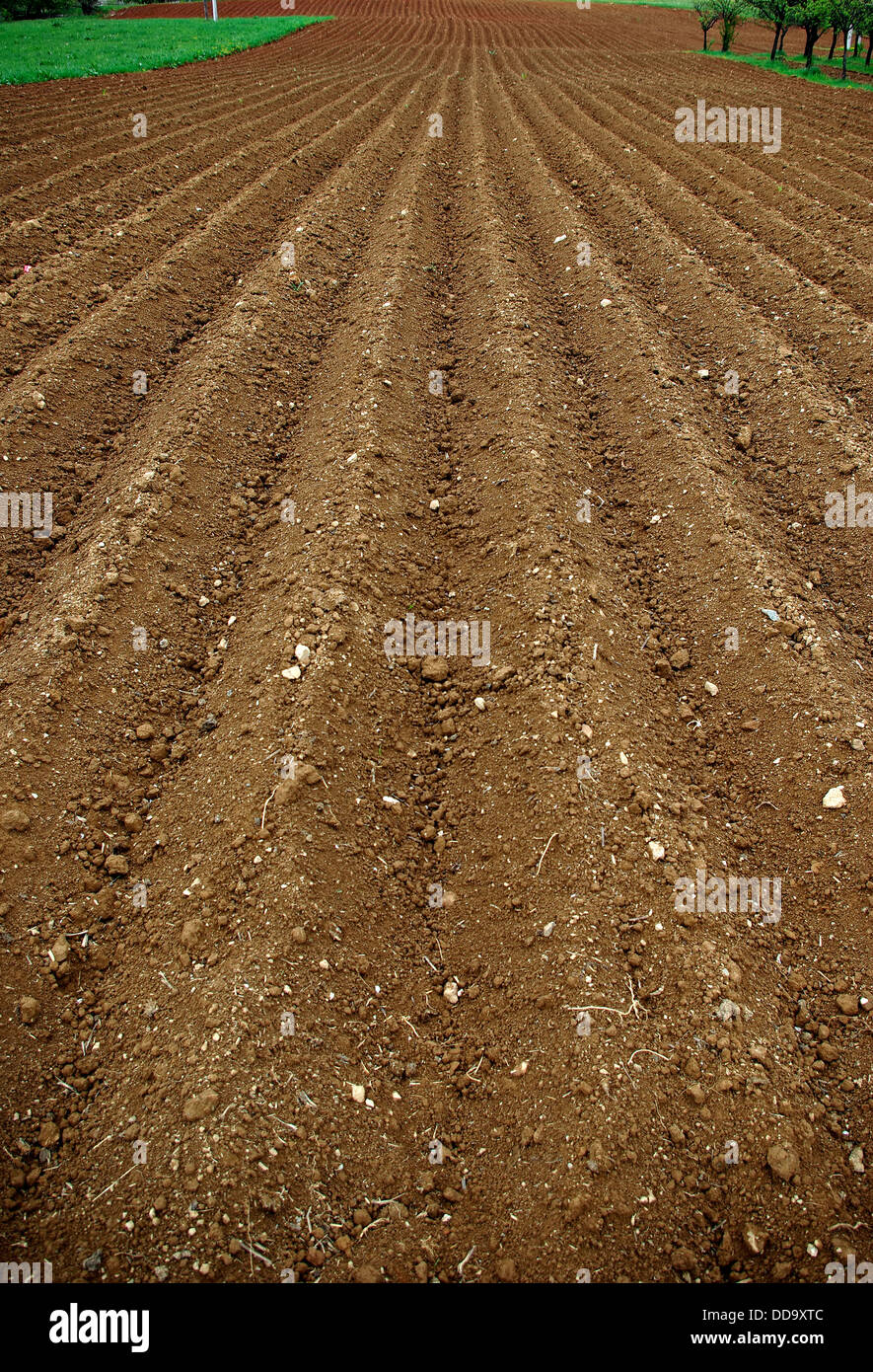 The furrows in the field of arable land ready for spring planting Stock ...