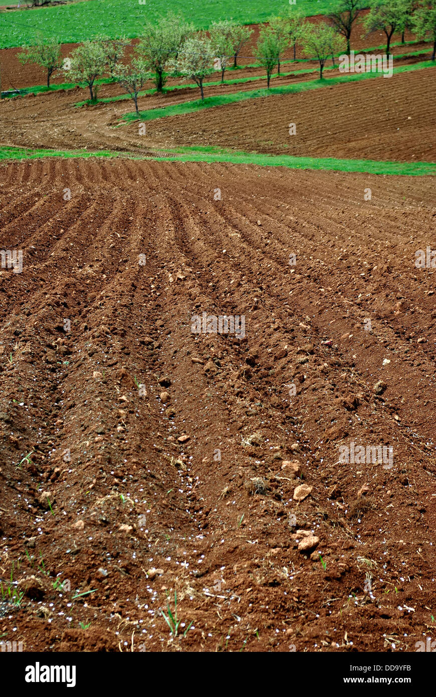 The furrows in the field of arable land ready for spring planting Stock ...