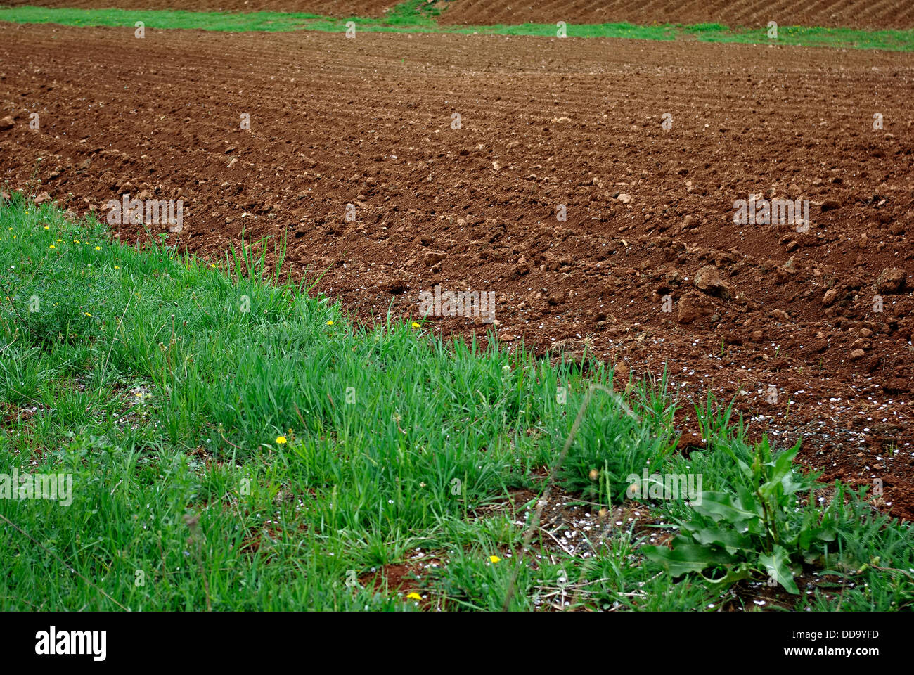 The furrows in the field of arable land ready for spring planting Stock ...