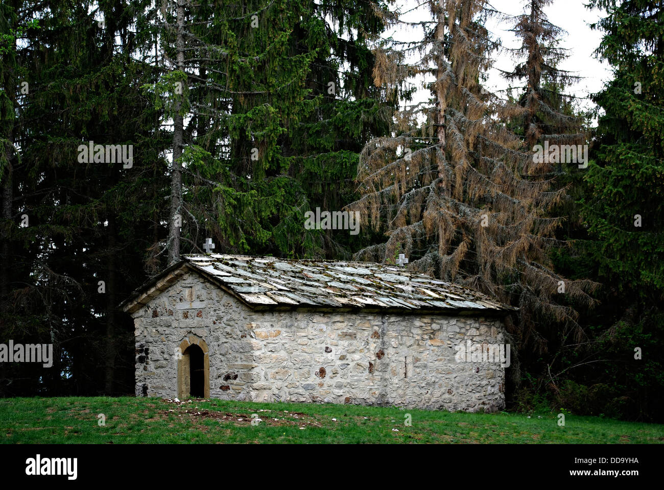 Old field pine hi-res stock photography and images - Alamy