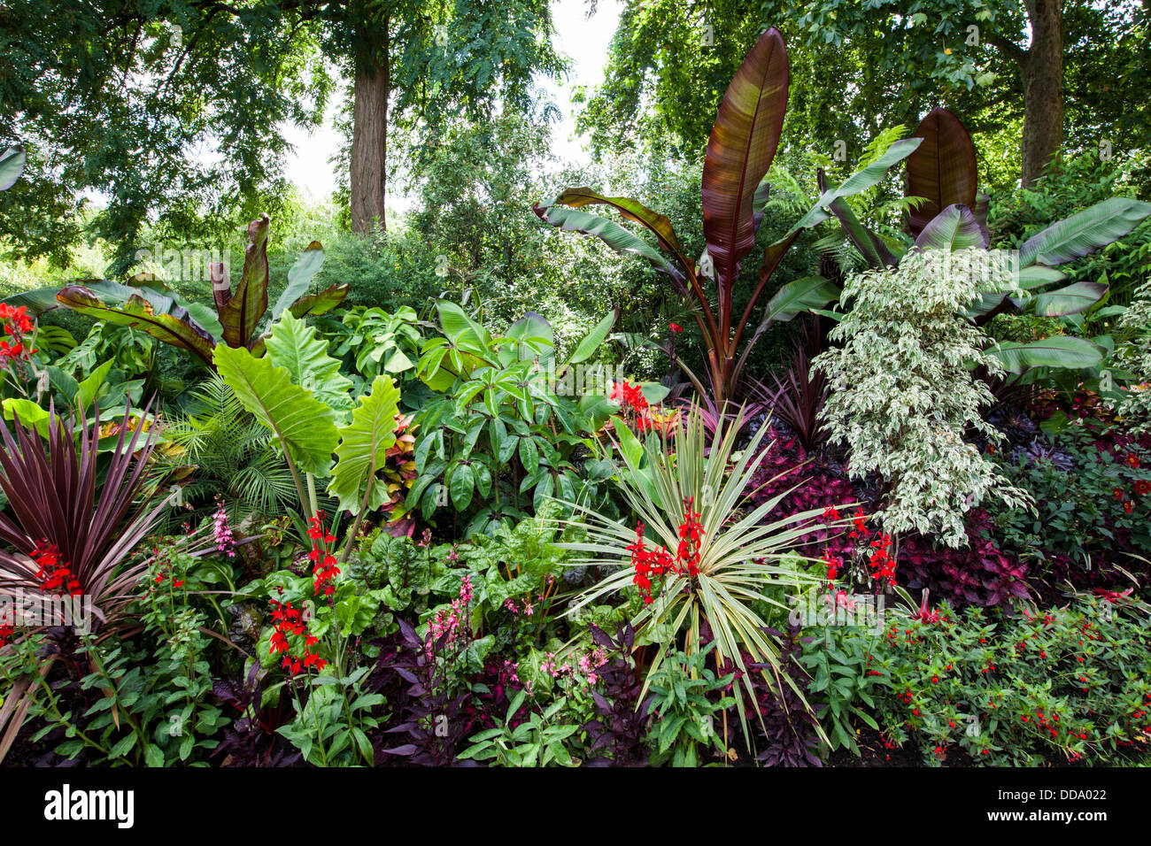 Tropical Gardens High Resolution Stock Photography and Images - Alamy