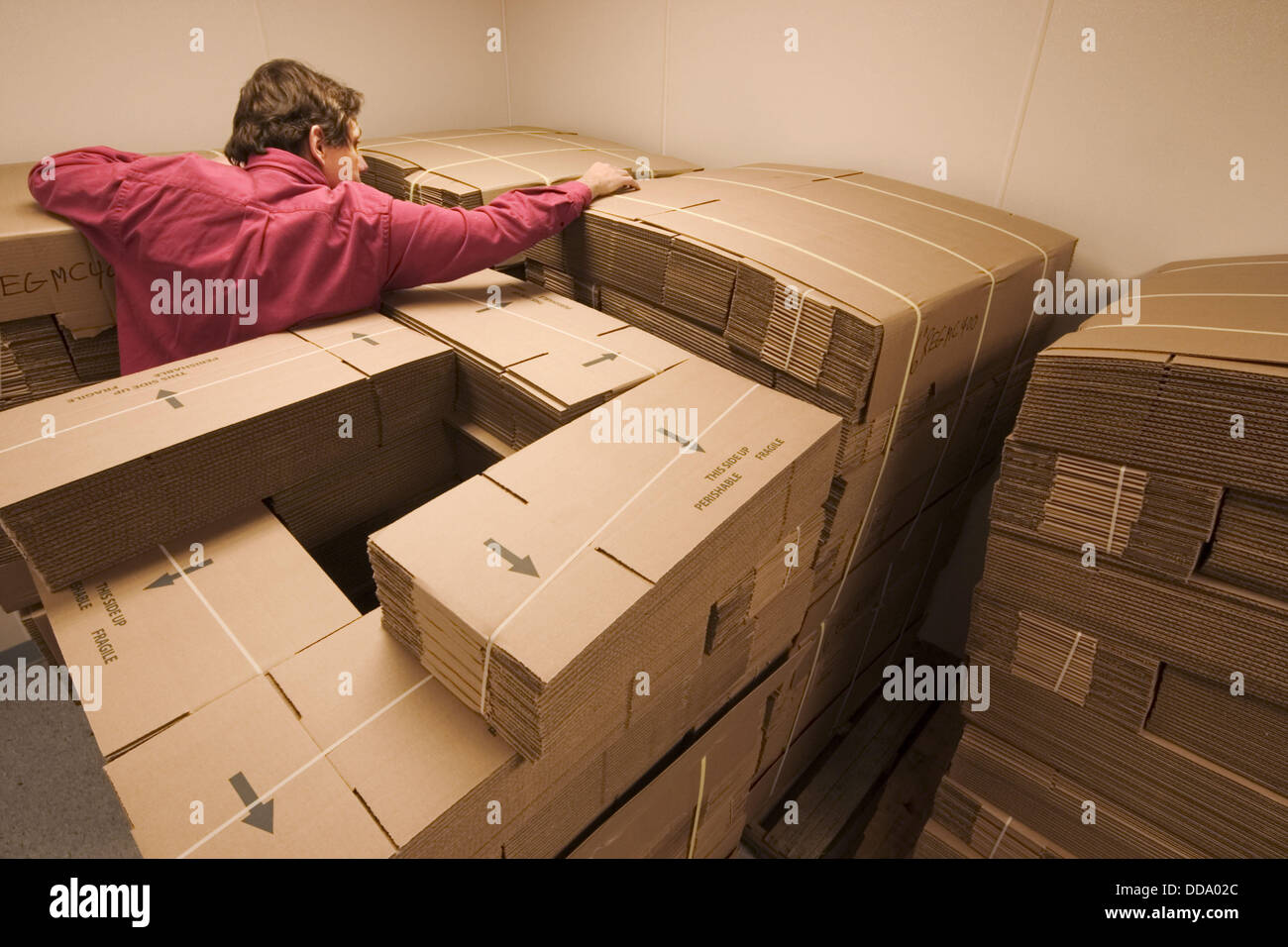 Unfolded And Folded Boxes