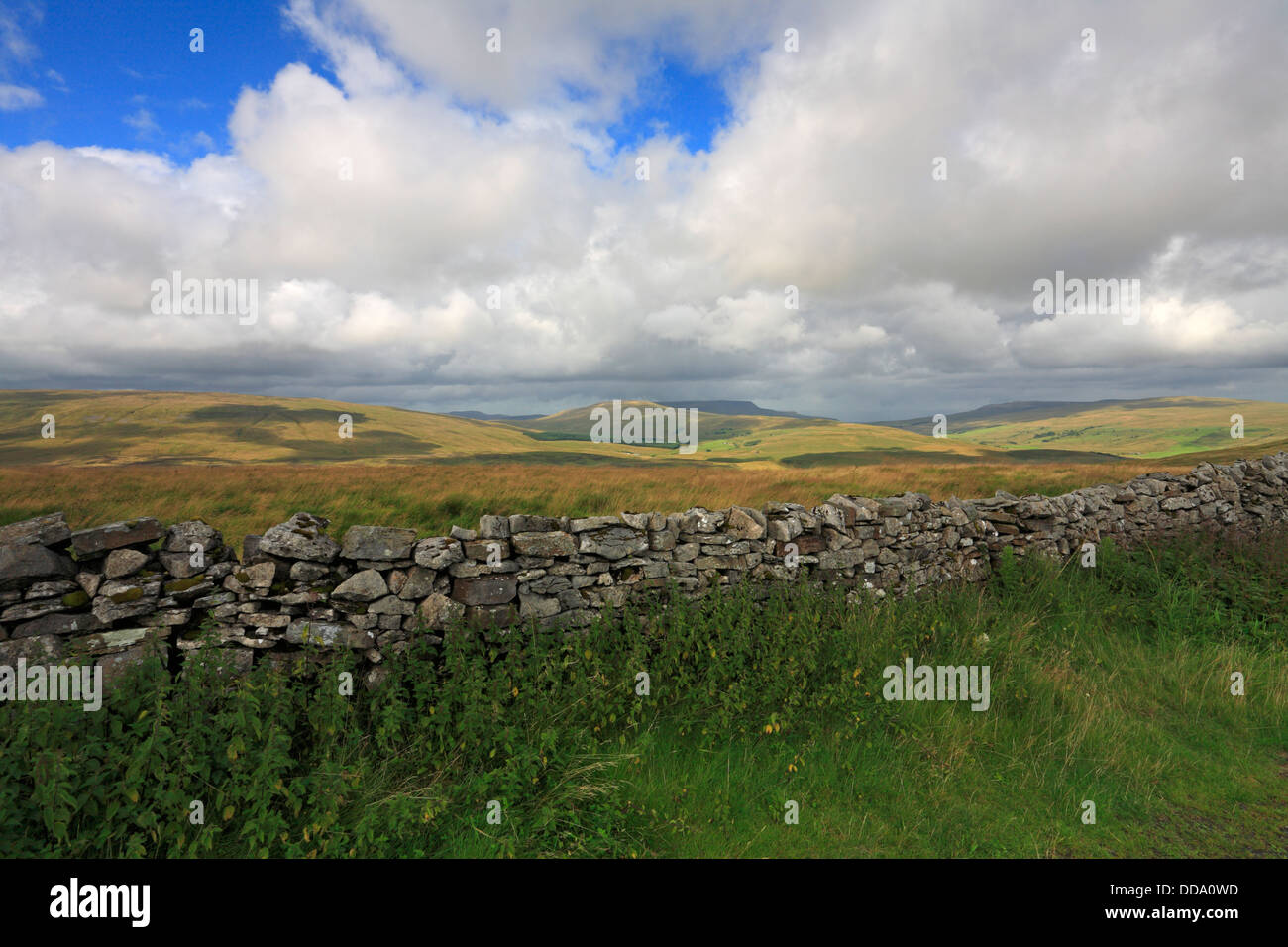 Baugh Fell, Wild Boar Fell and High Seat Mallerstang from Coal Road ...
