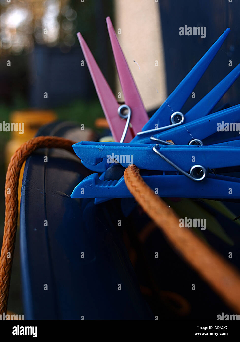 close up of washing line and pegs Stock Photo - Alamy