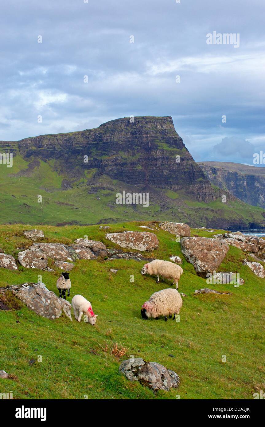 Waterstein Head, Neist Point, Isle of Skye, Western Highlands, Scotland ...