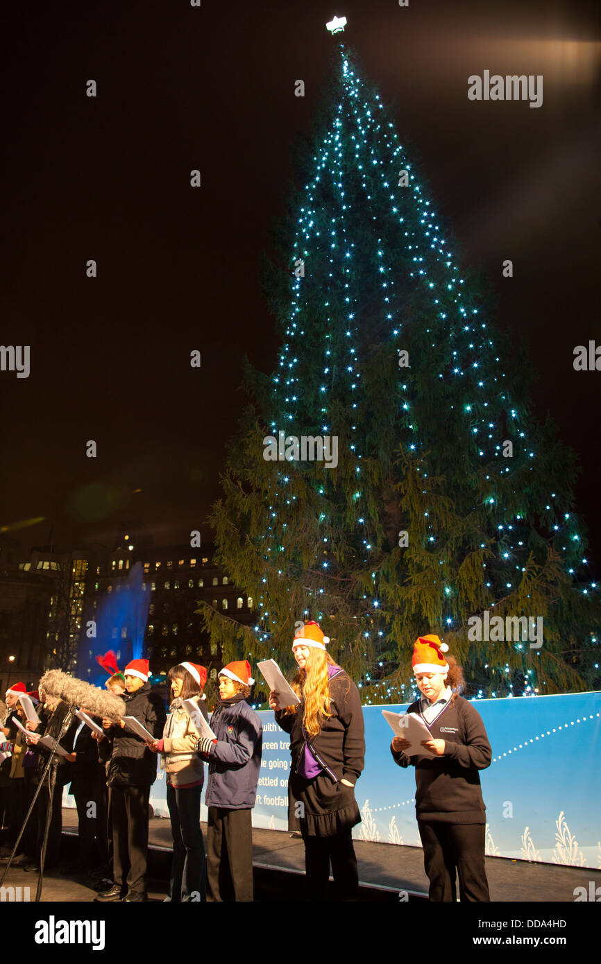 20 year old tree hi-res stock photography and images - Alamy