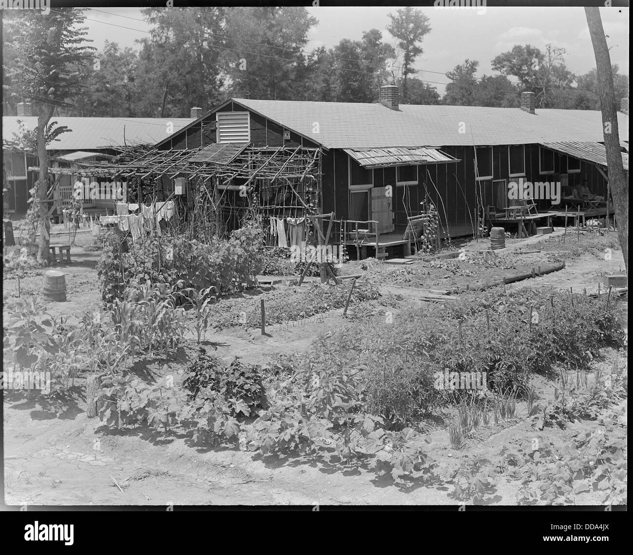 Rohwer Relocation Center, McGehee, Arkansas. One of the many small ...