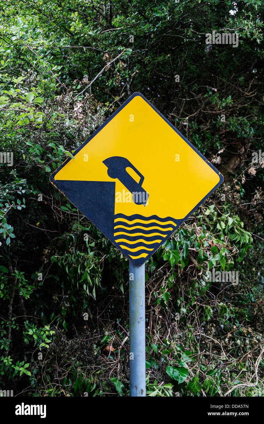 International Signs Driving