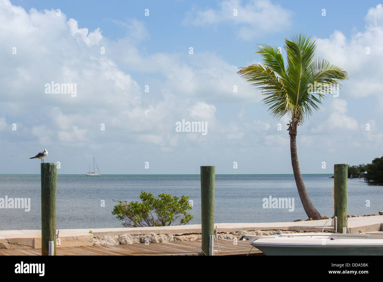 This image is of Grassy Key and the surrounding waters which is part of ...