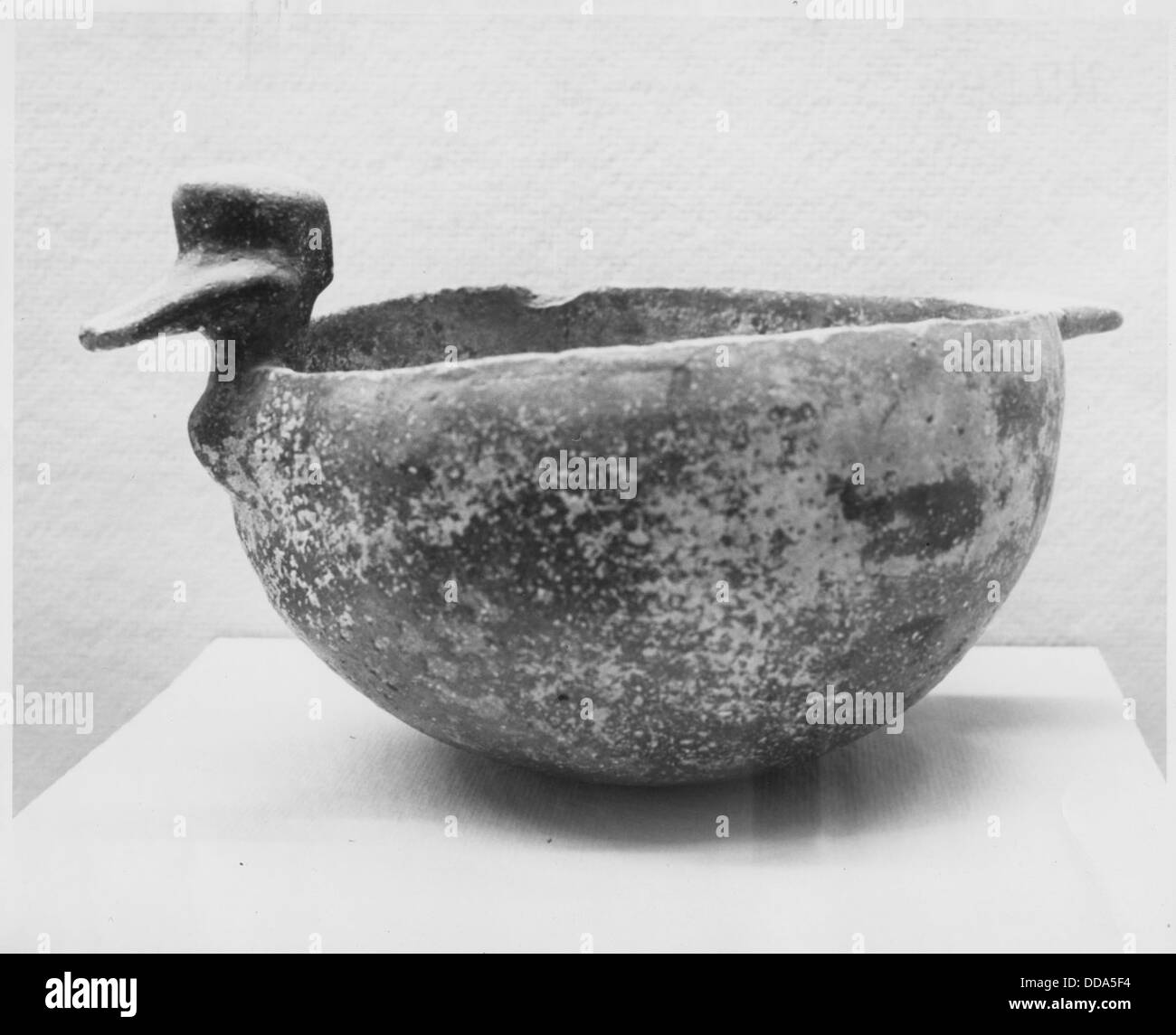 A shell-tempered duck effigy bowl was recovered from the Williams ...