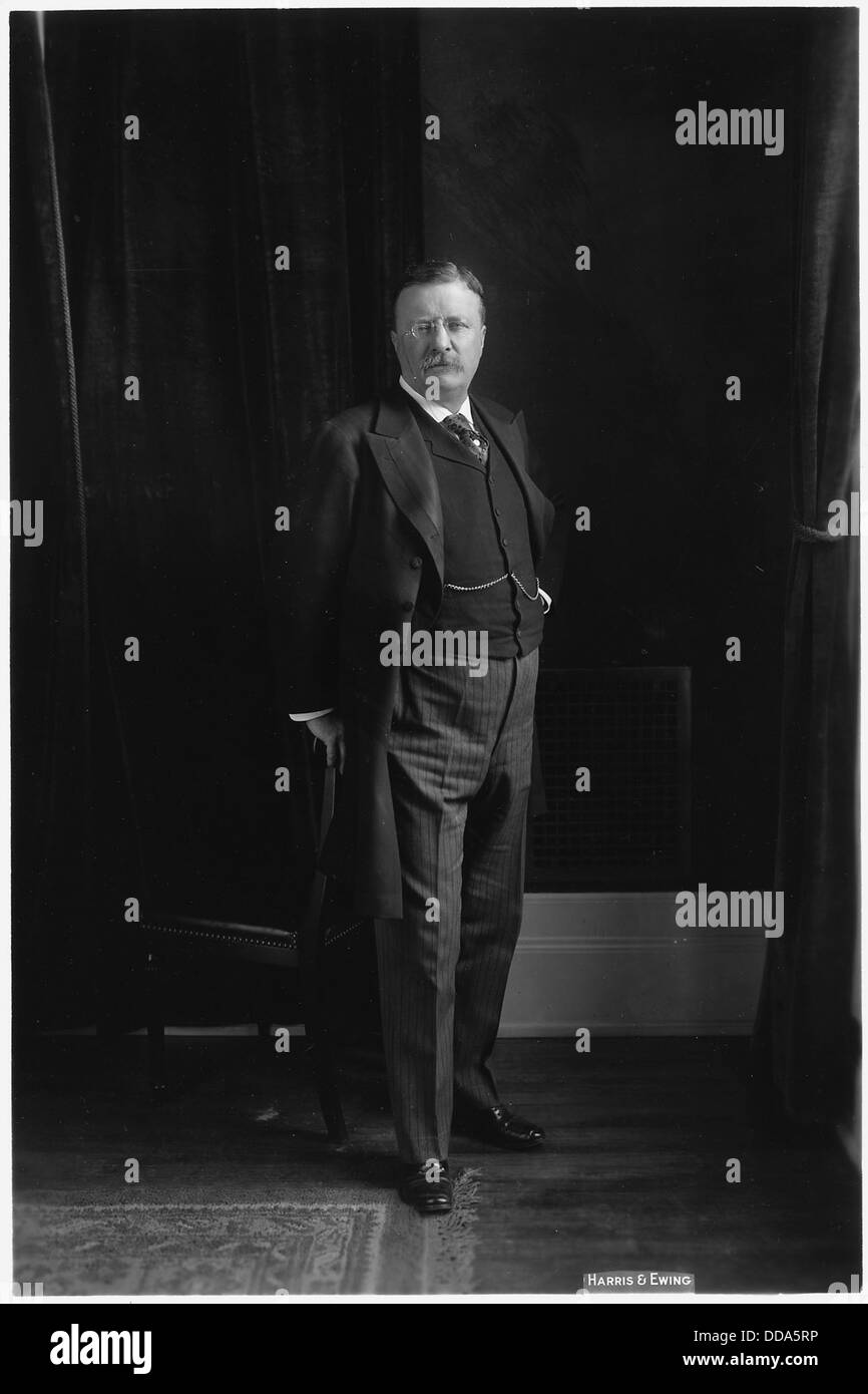 A portrait of Theodore Roosevelt, the 26th President of the United ...