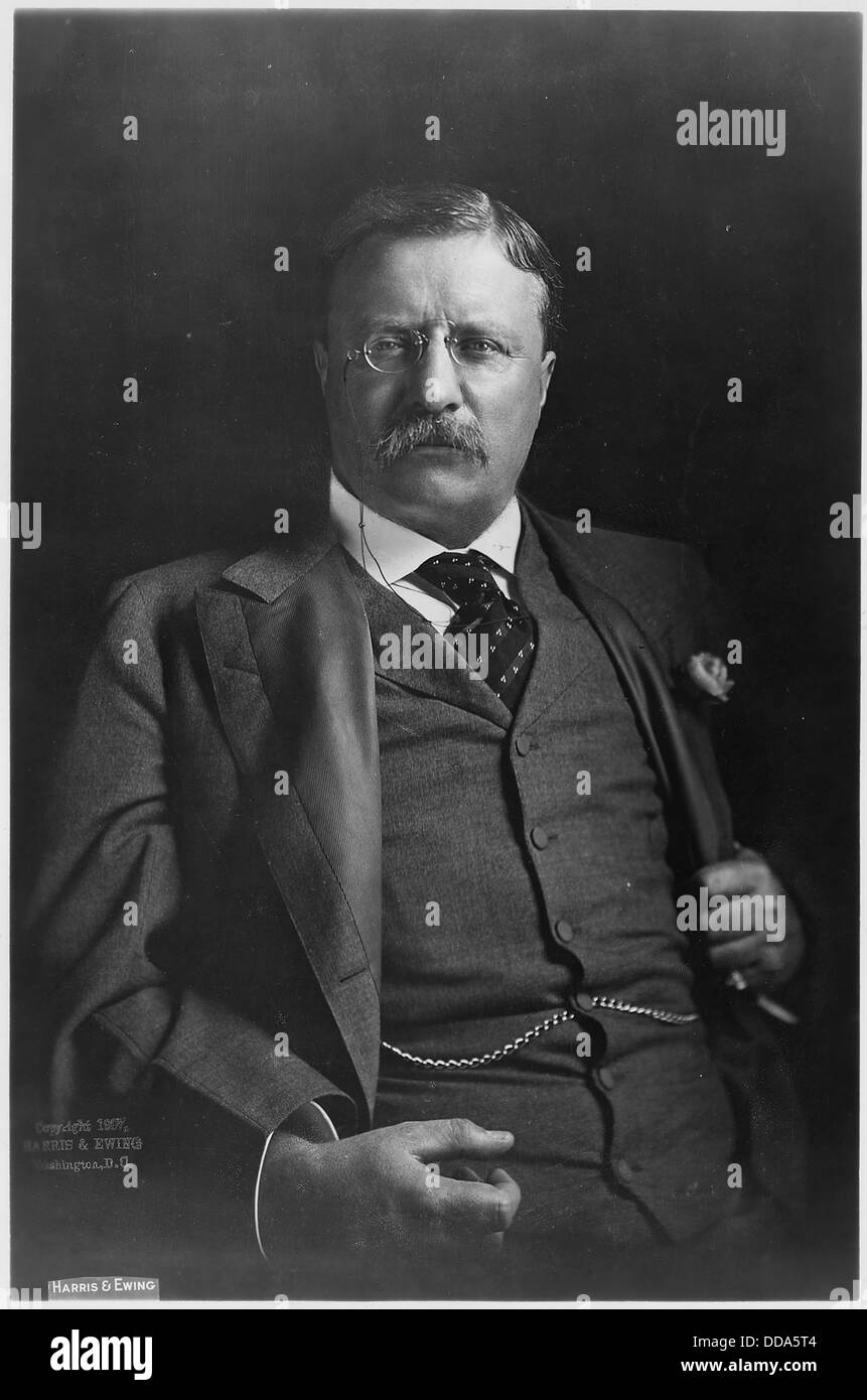 A portrait or representation of Theodore Roosevelt, the 26th President ...