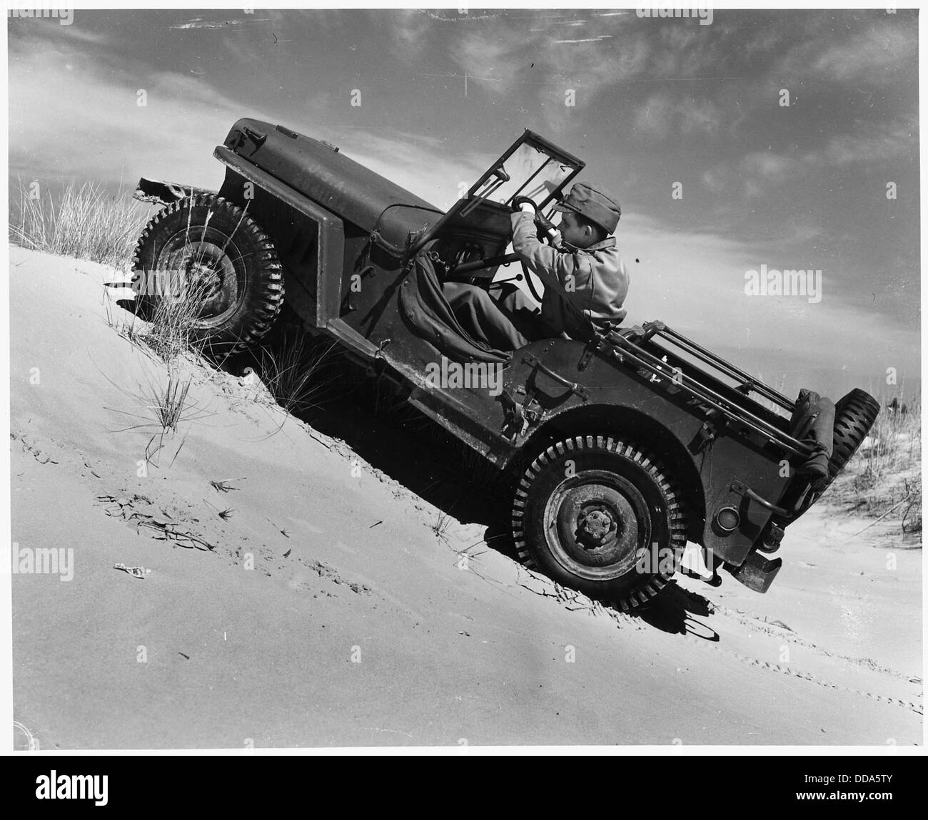 The peep (not a jeep this time) has a vital role to play in defense of ...