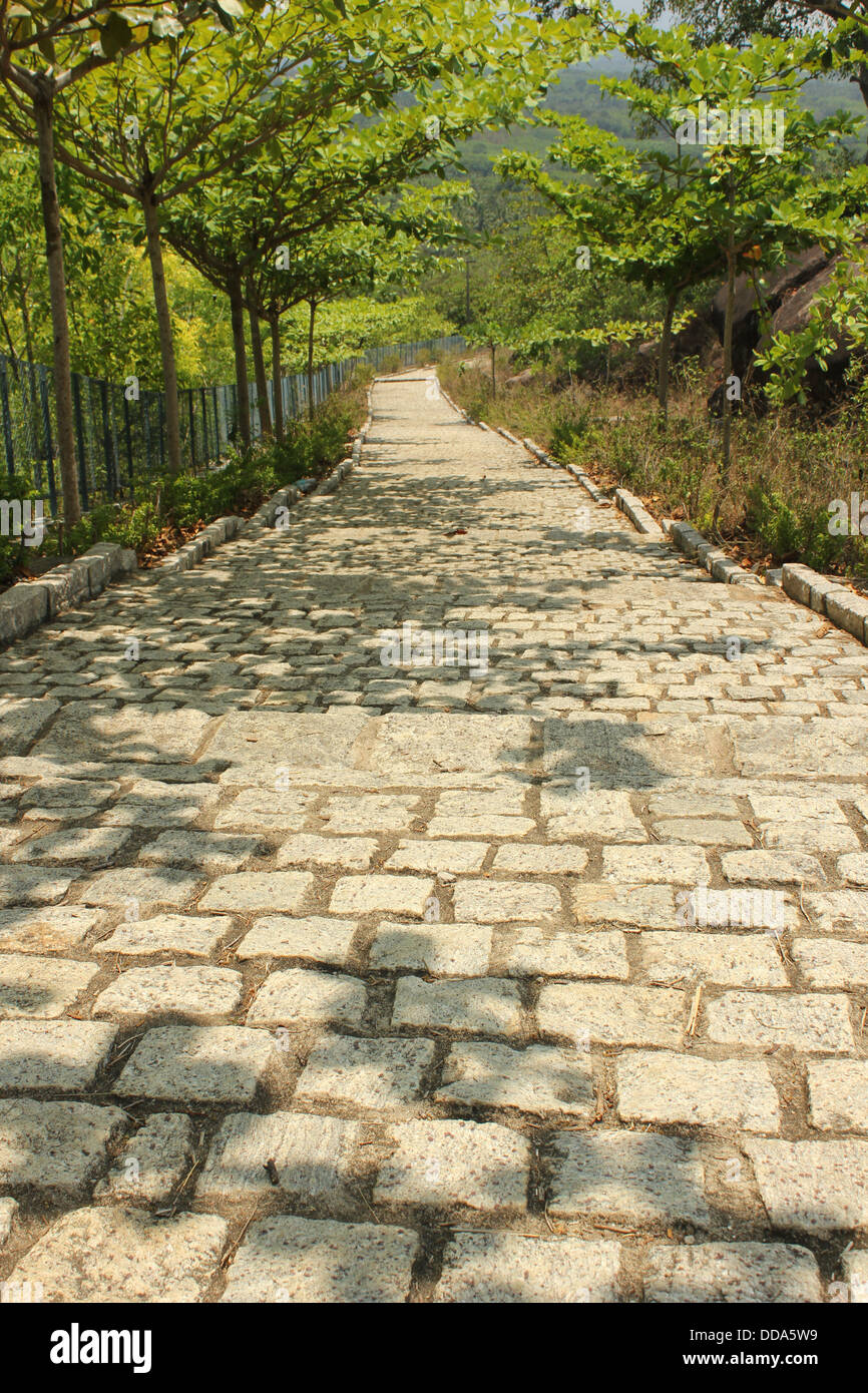 Paved pathway hi-res stock photography and images - Alamy