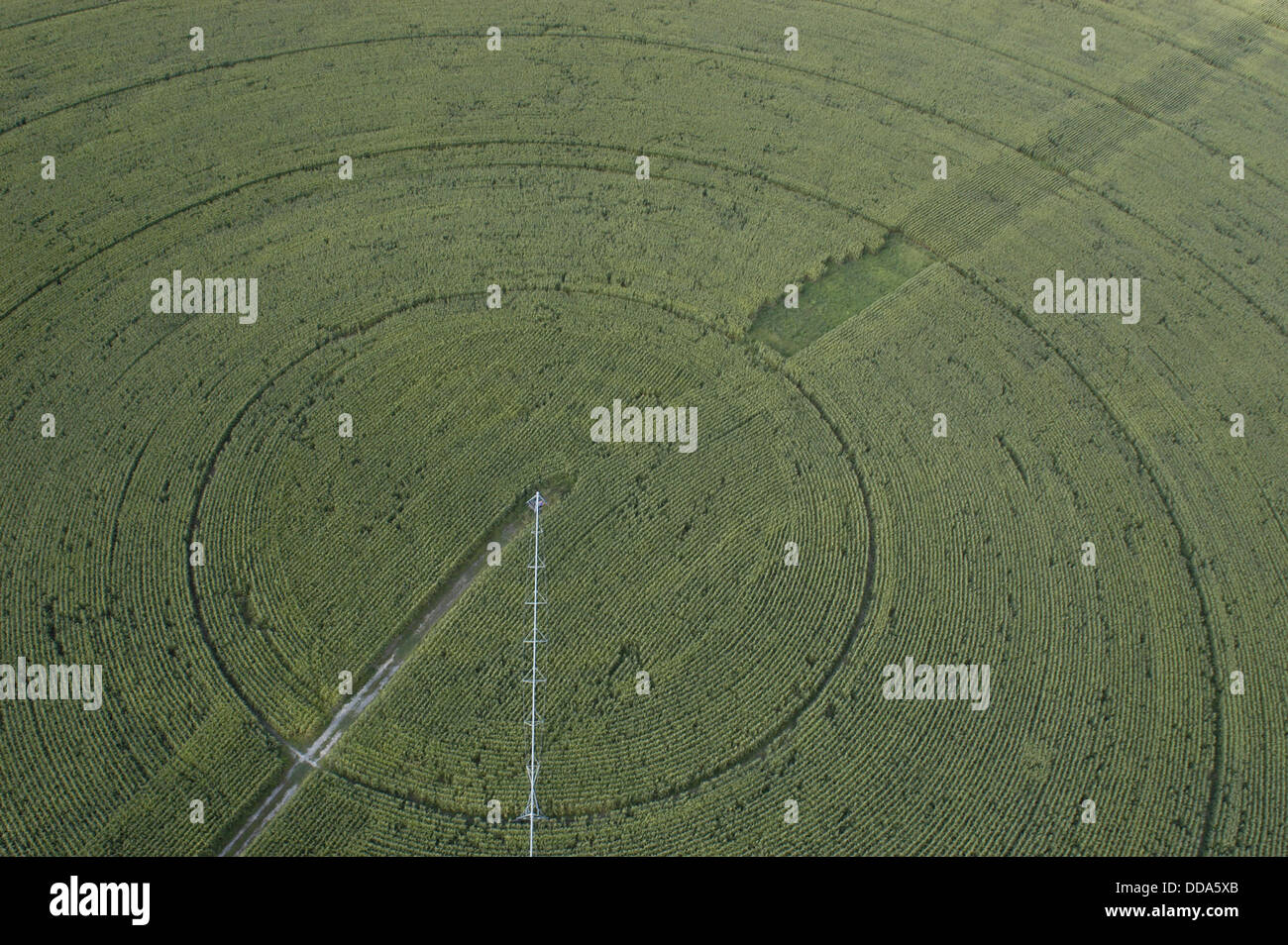 Aerial view circular fields irrigation hi-res stock photography and ...