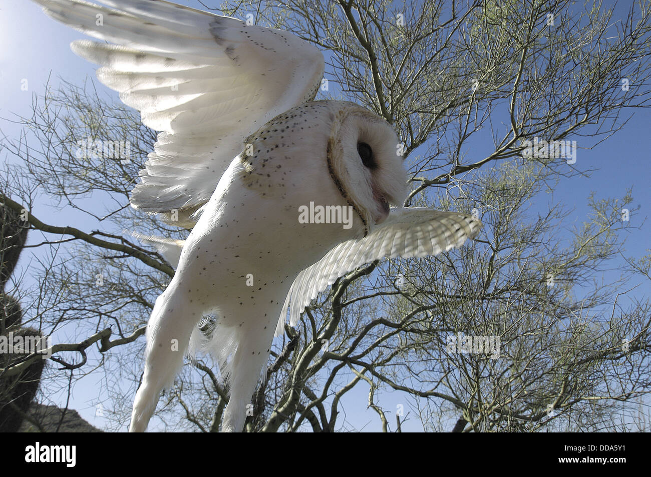 White night hi-res stock photography and images - Alamy