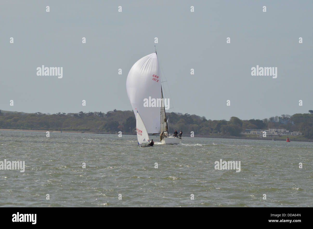 Small Laser sailing dinghy heading for a larger yacht whilst racing in ...