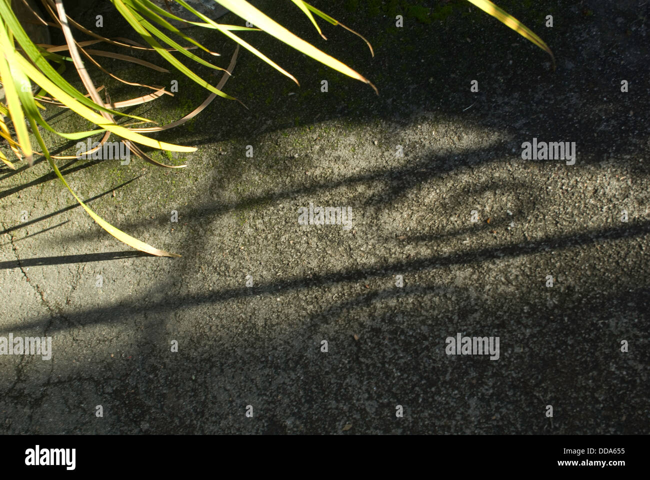Strong sunlight and cast shadow hi-res stock photography and images - Alamy