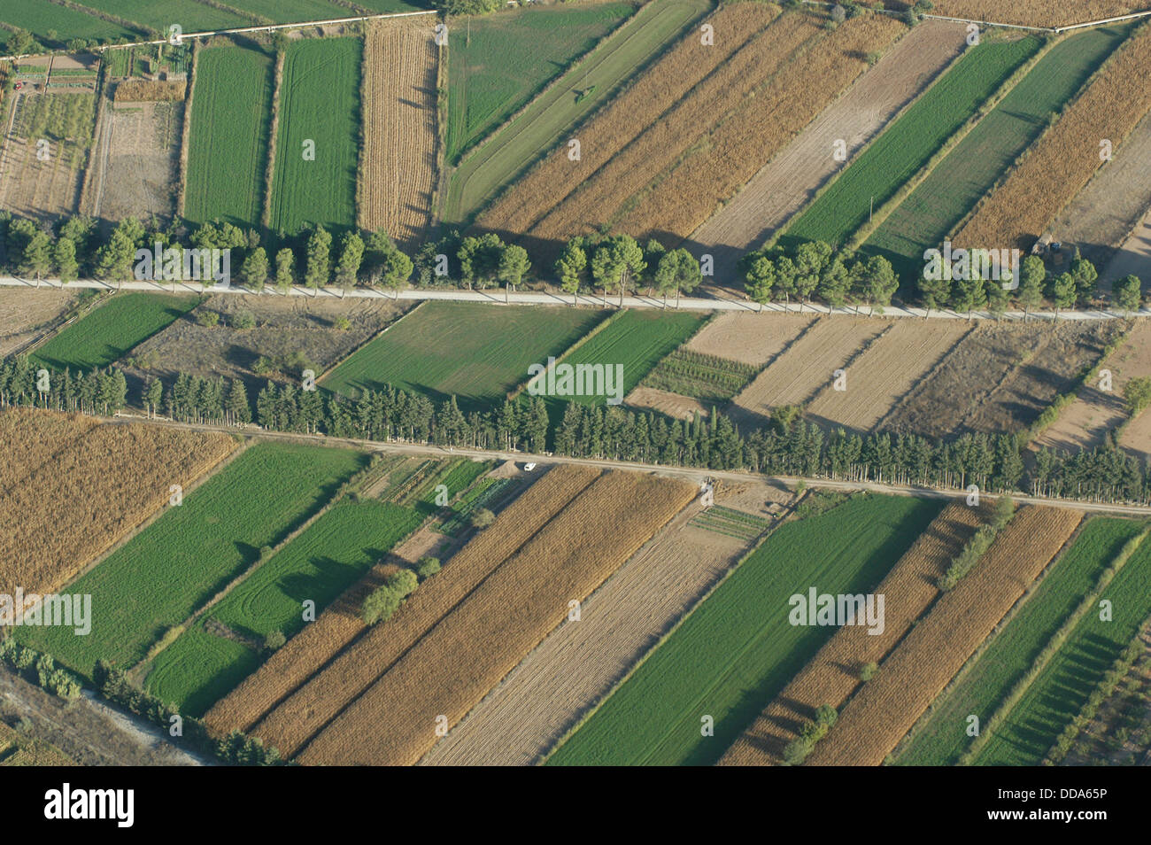 Irrigated farm land by the Cinca canal waterway Stock Photo - Alamy