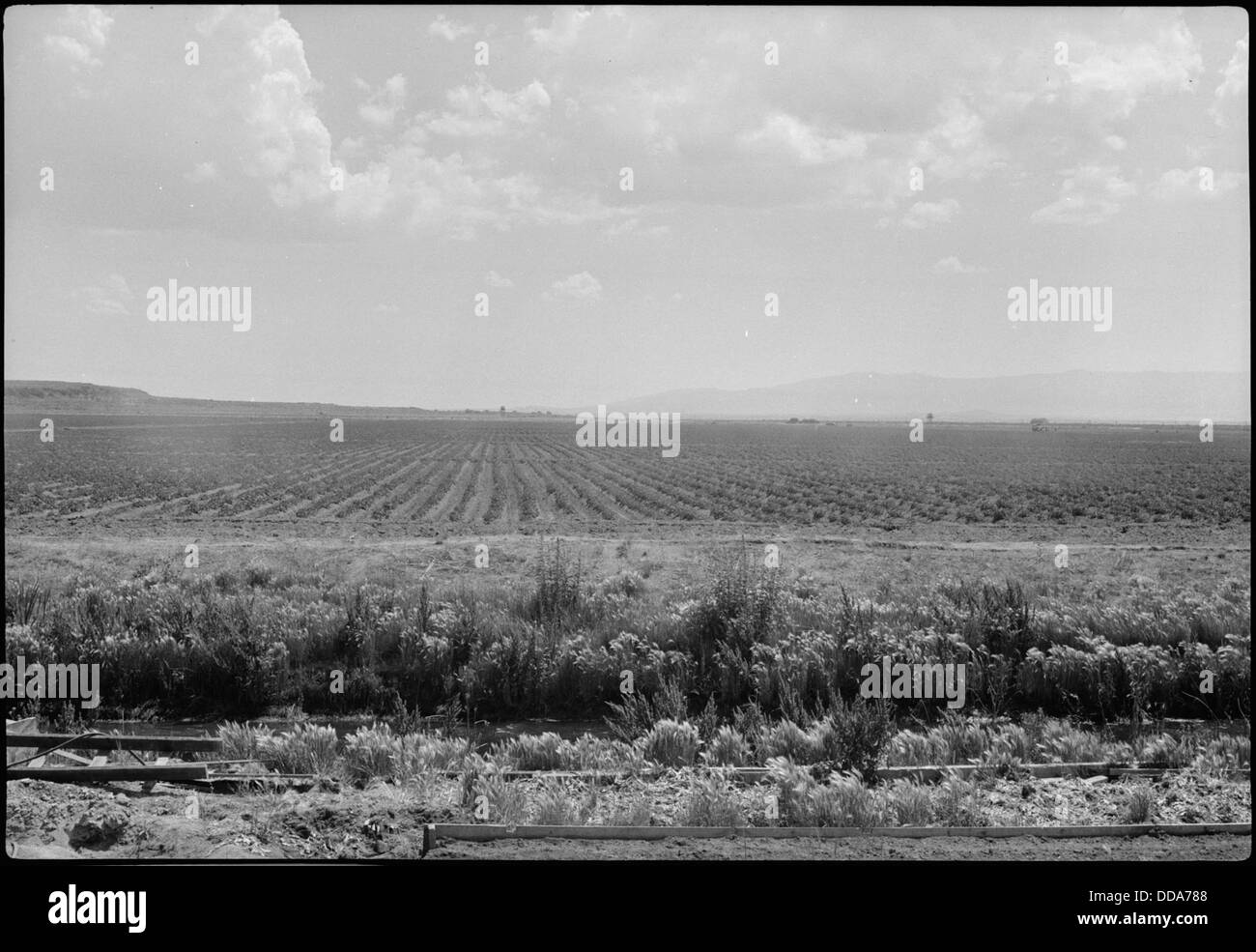 Tule Lake Segregation Center High Resolution Stock Photography and ...