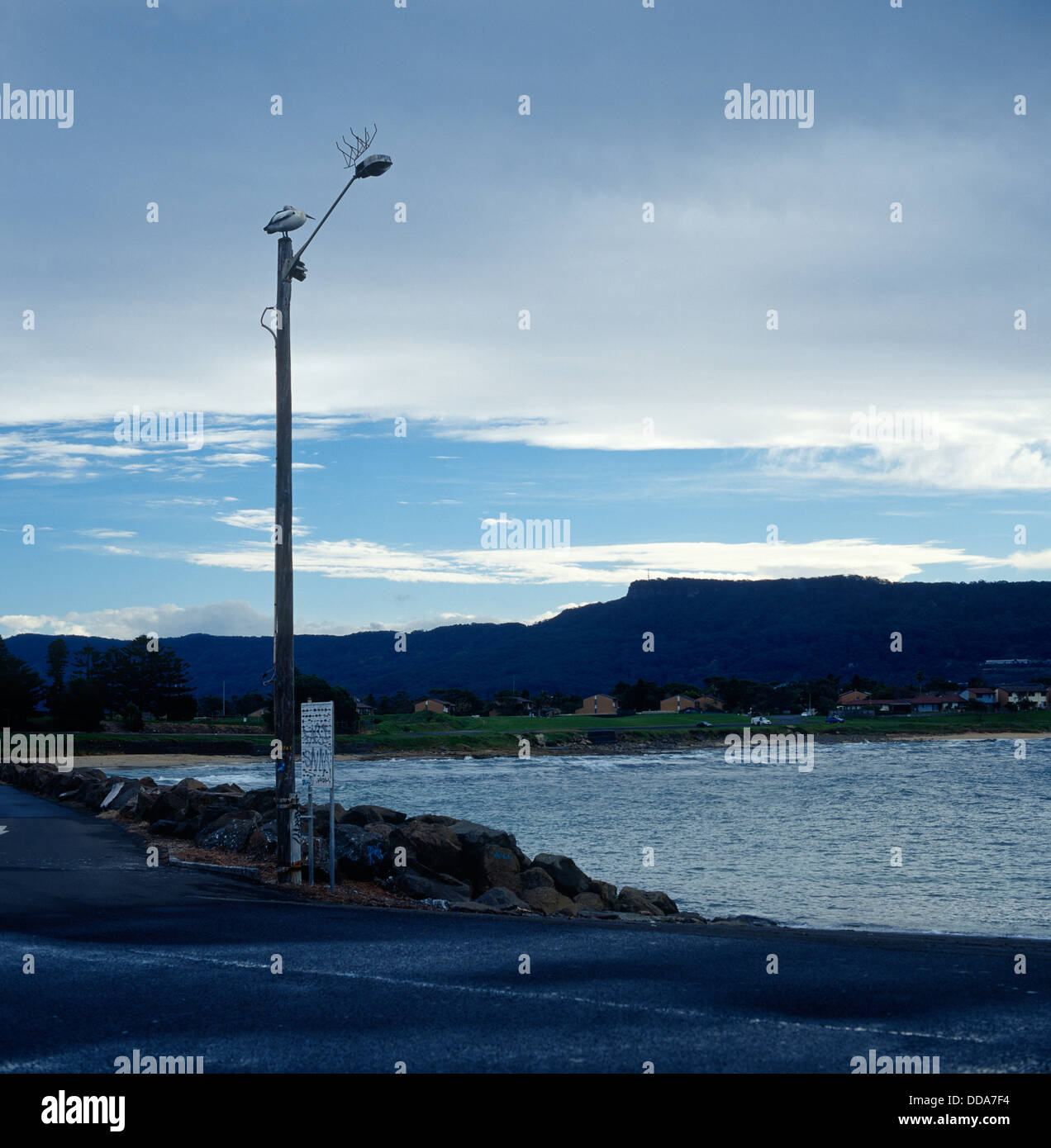 A pelican sitting on a lamp post Stock Photo - Alamy