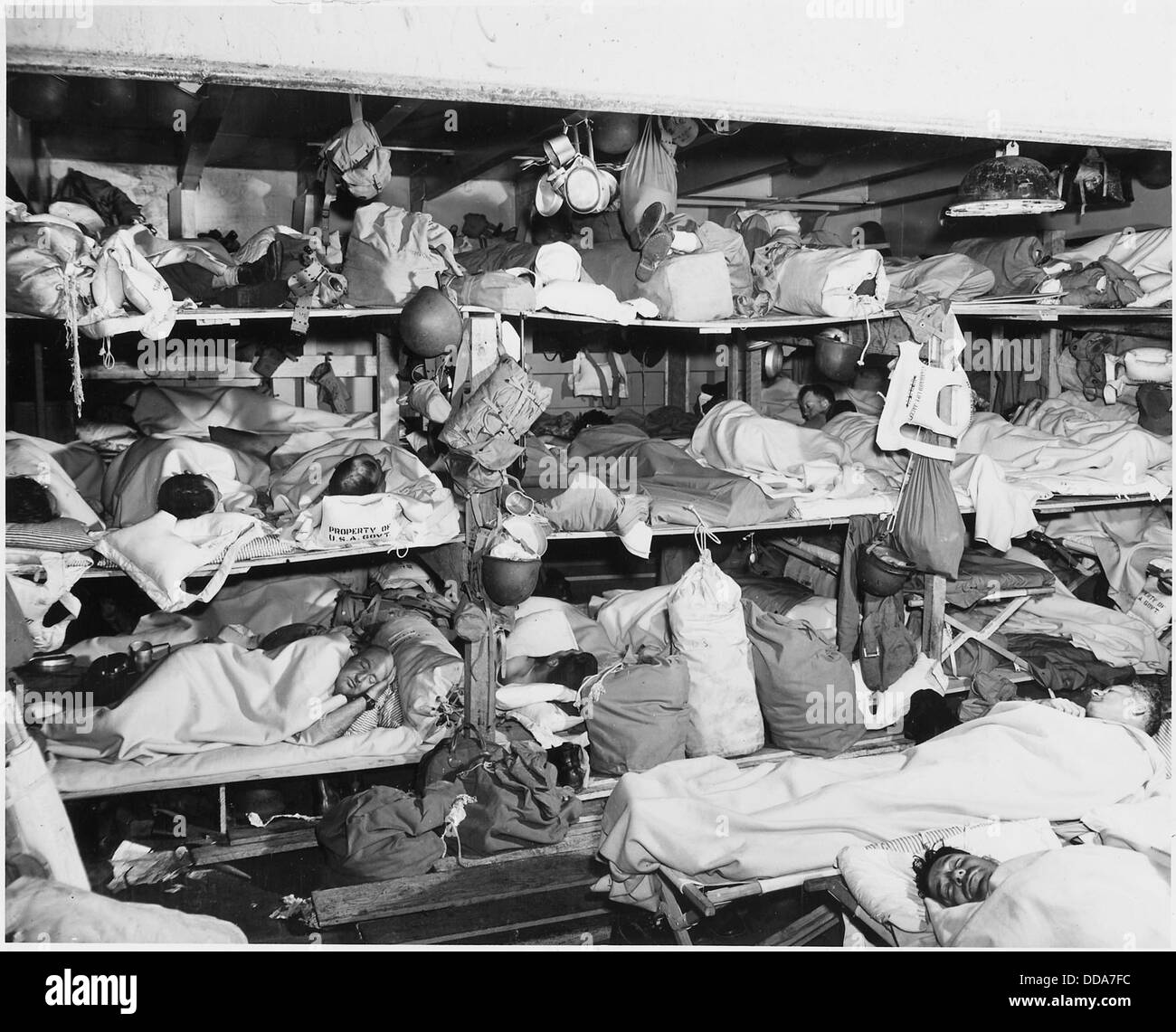 Shown resting Black and White Stock Photos & Images - Alamy