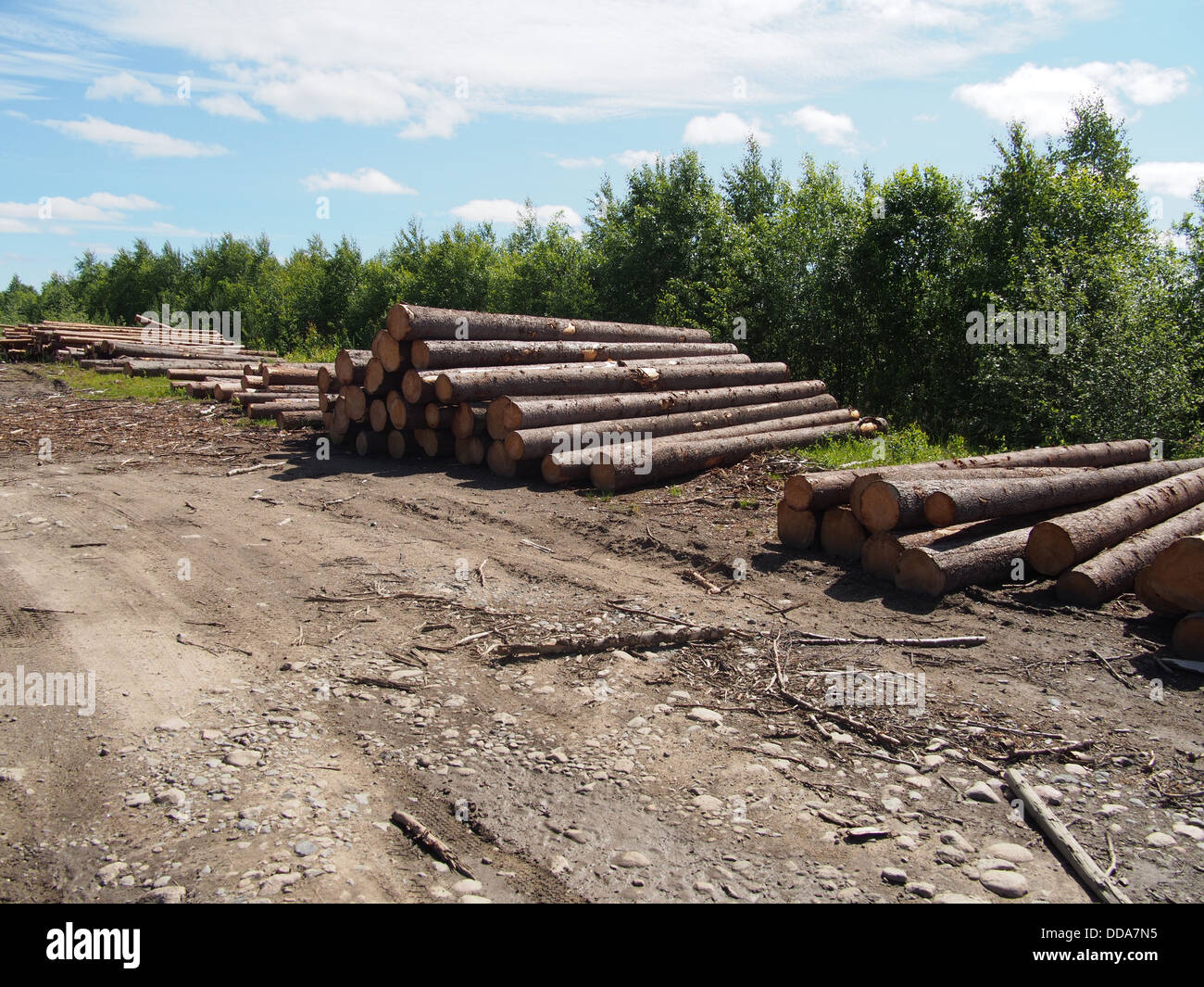 The logs on the road Stock Photo - Alamy