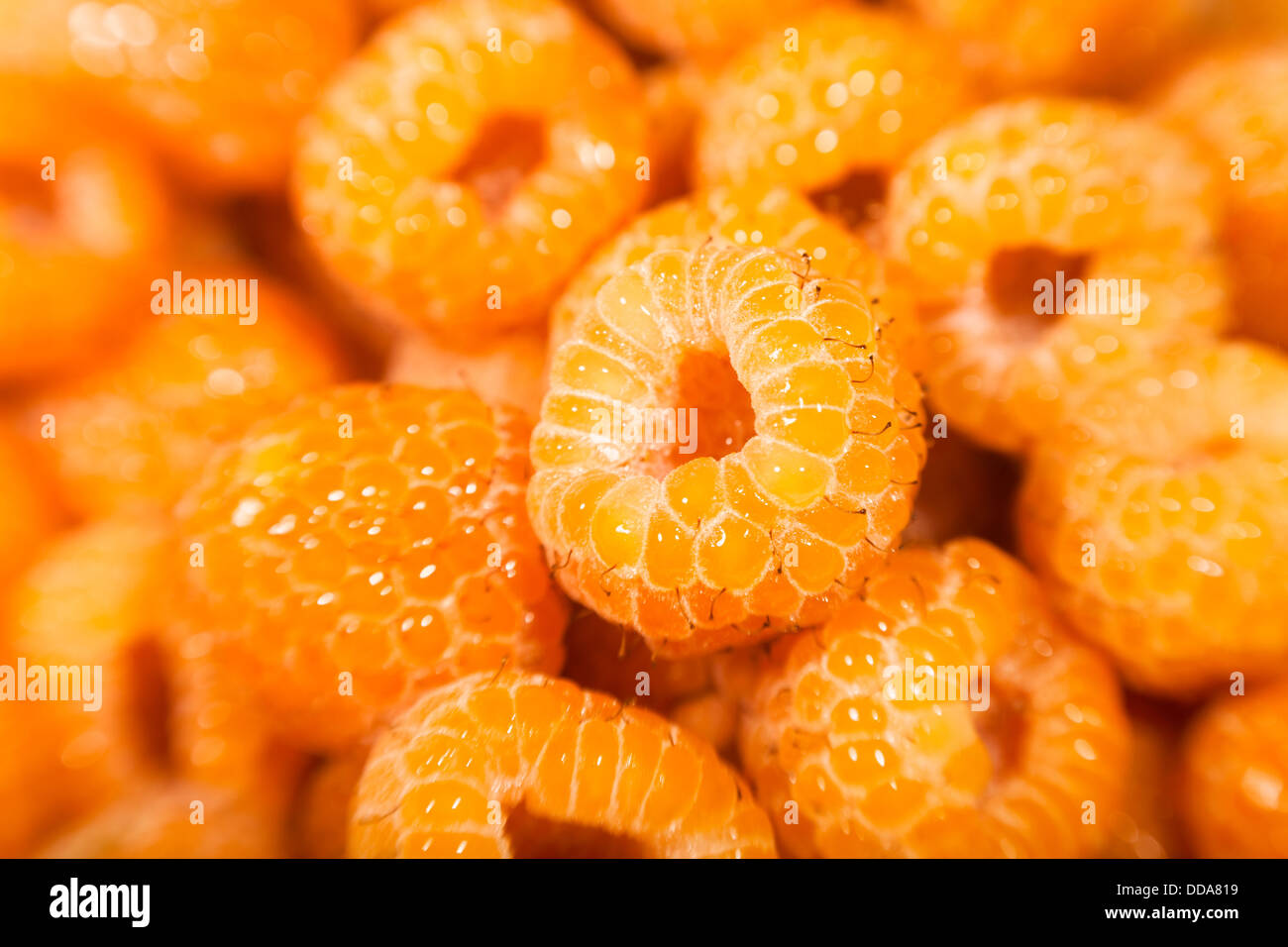 Orange Raspberry