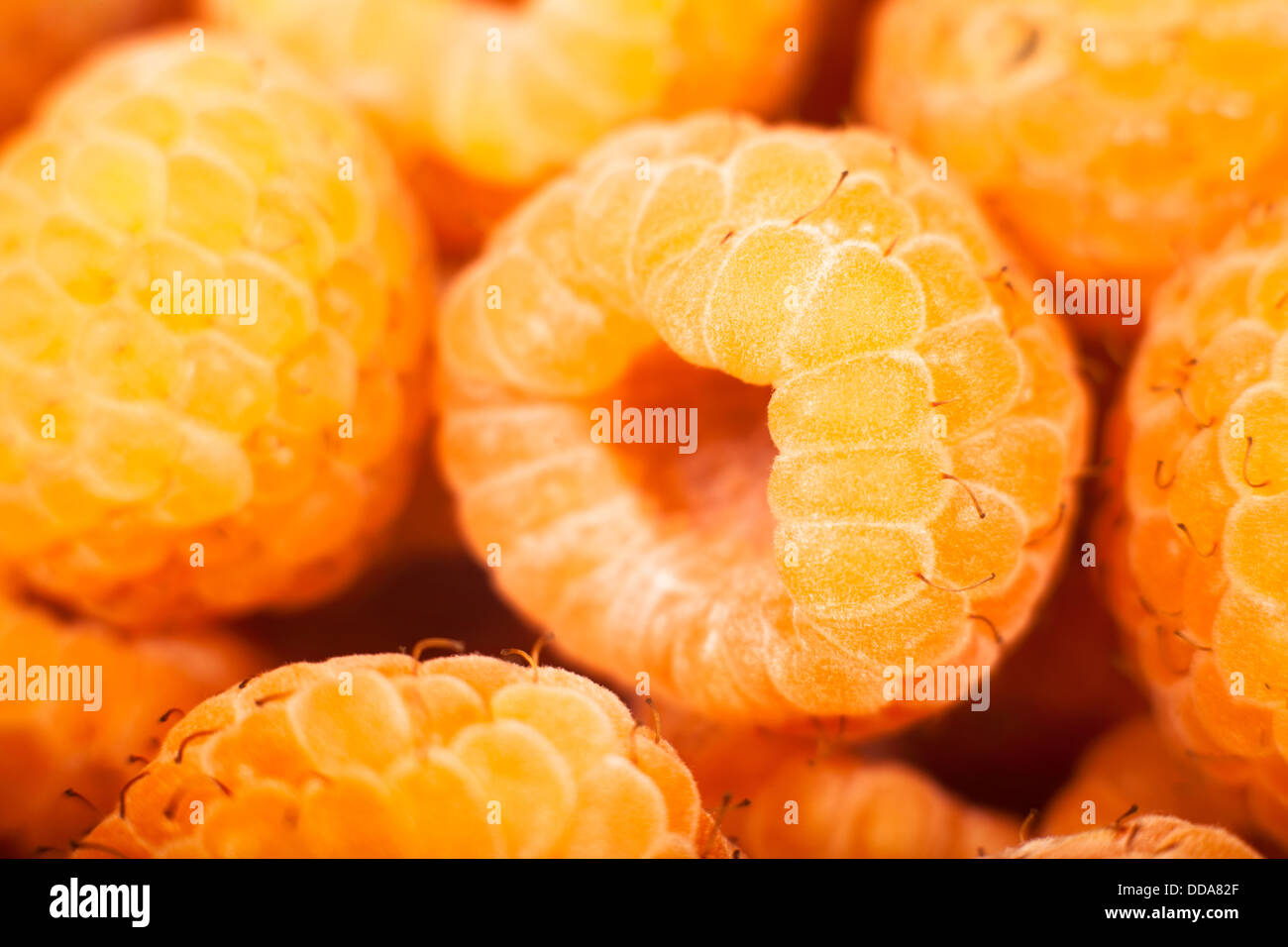 yellow raspberry closeup macro soft focus Stock Photo - Alamy