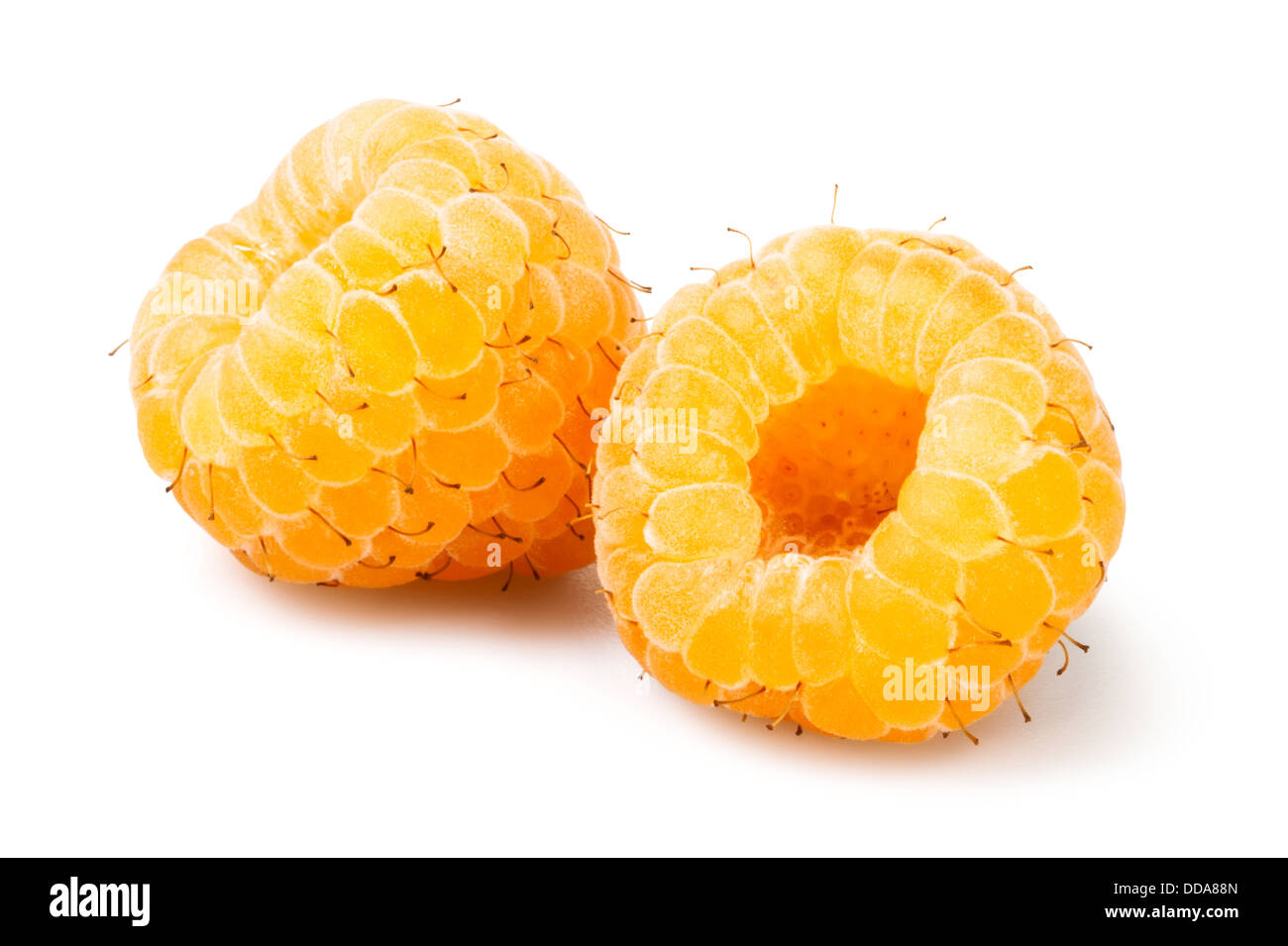 yellow raspberry on white background Stock Photo - Alamy