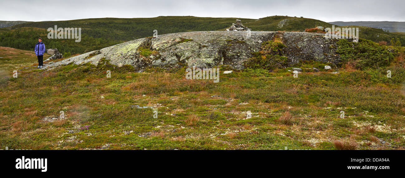 Roche Moutonnee High Resolution Stock Photography and Images - Alamy